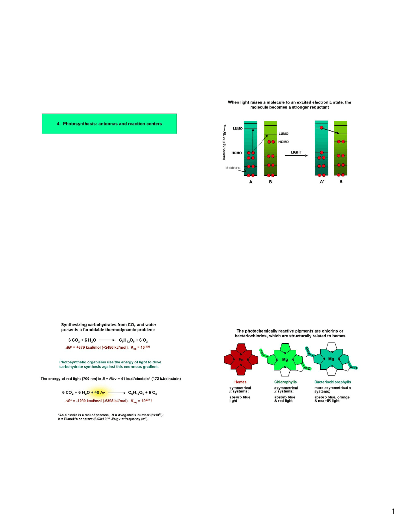 Photosynthesis: Antennas and Reaction Centers - Biochemistry | BIOC 441 - Docsity