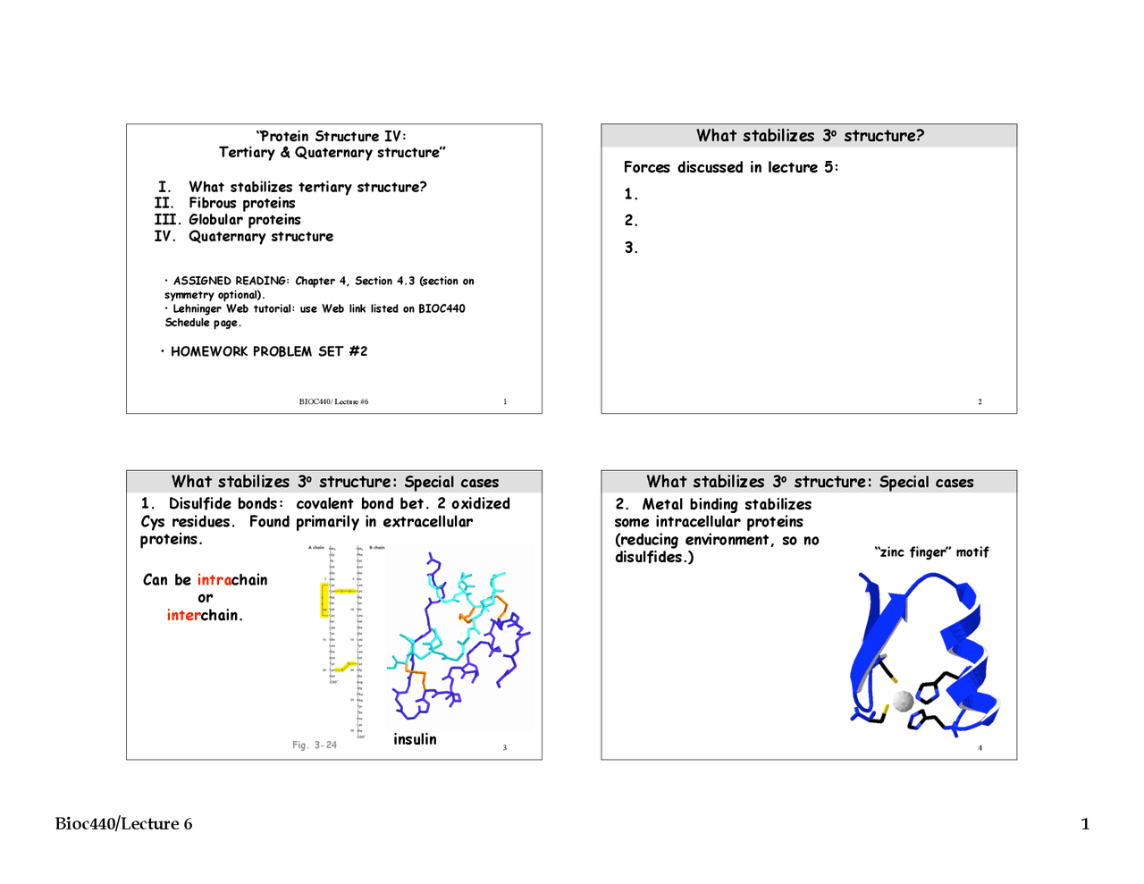 Tertiary and Quaternary Structure - Biochemistry - Lecture Slides | BIOC 440 - Docsity