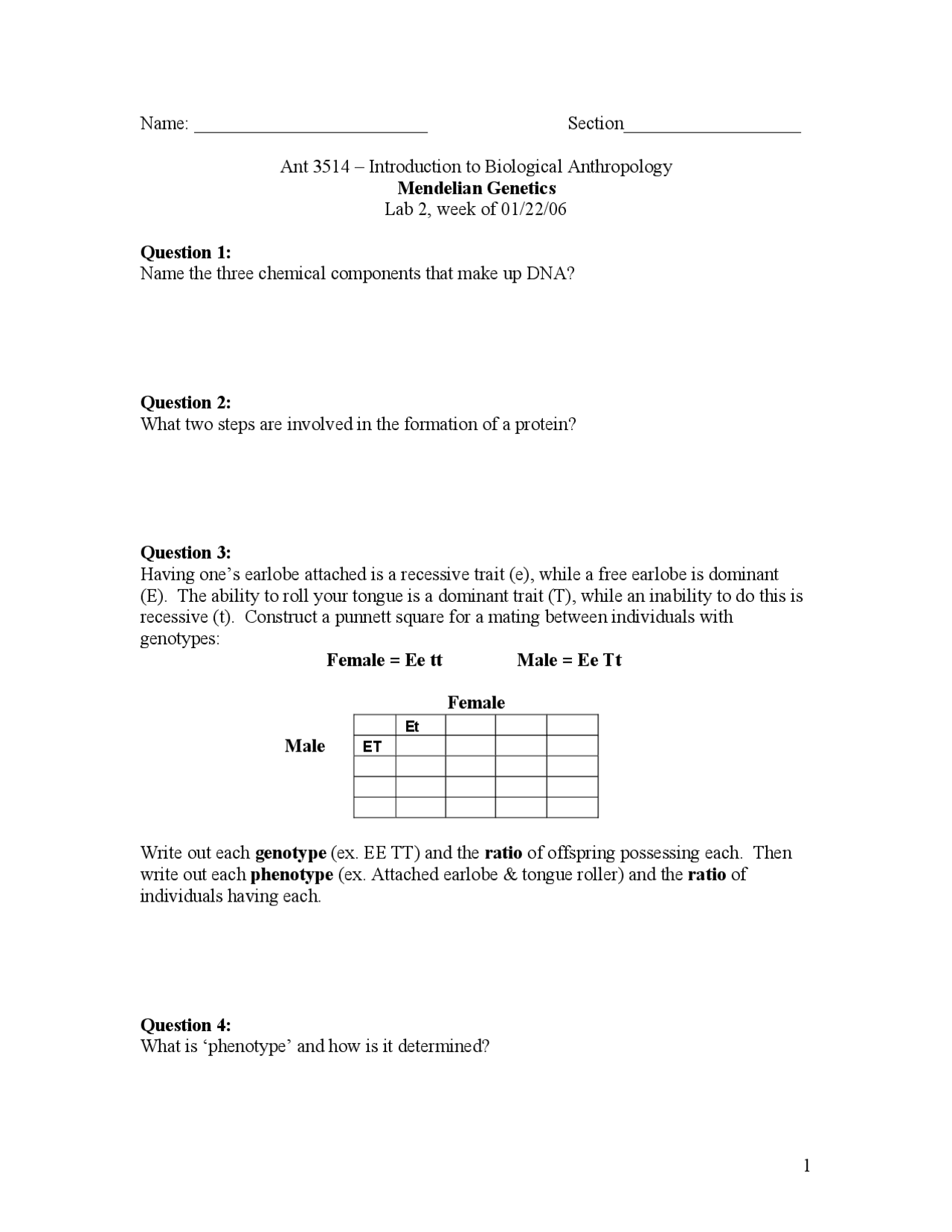 Lab Ii Mendelian Genetics Biological Anthropology Ant 3514 Docsity
