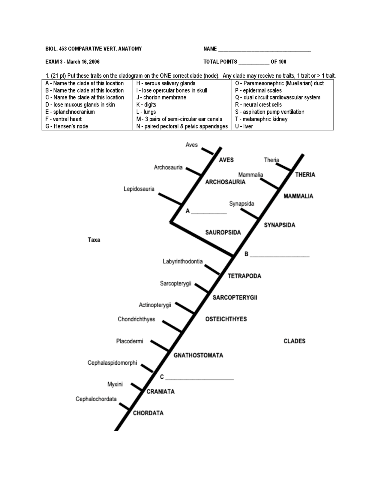 Exam 3 Comparative Anatomy Of Vertebrates Fall 2006 Biol 453