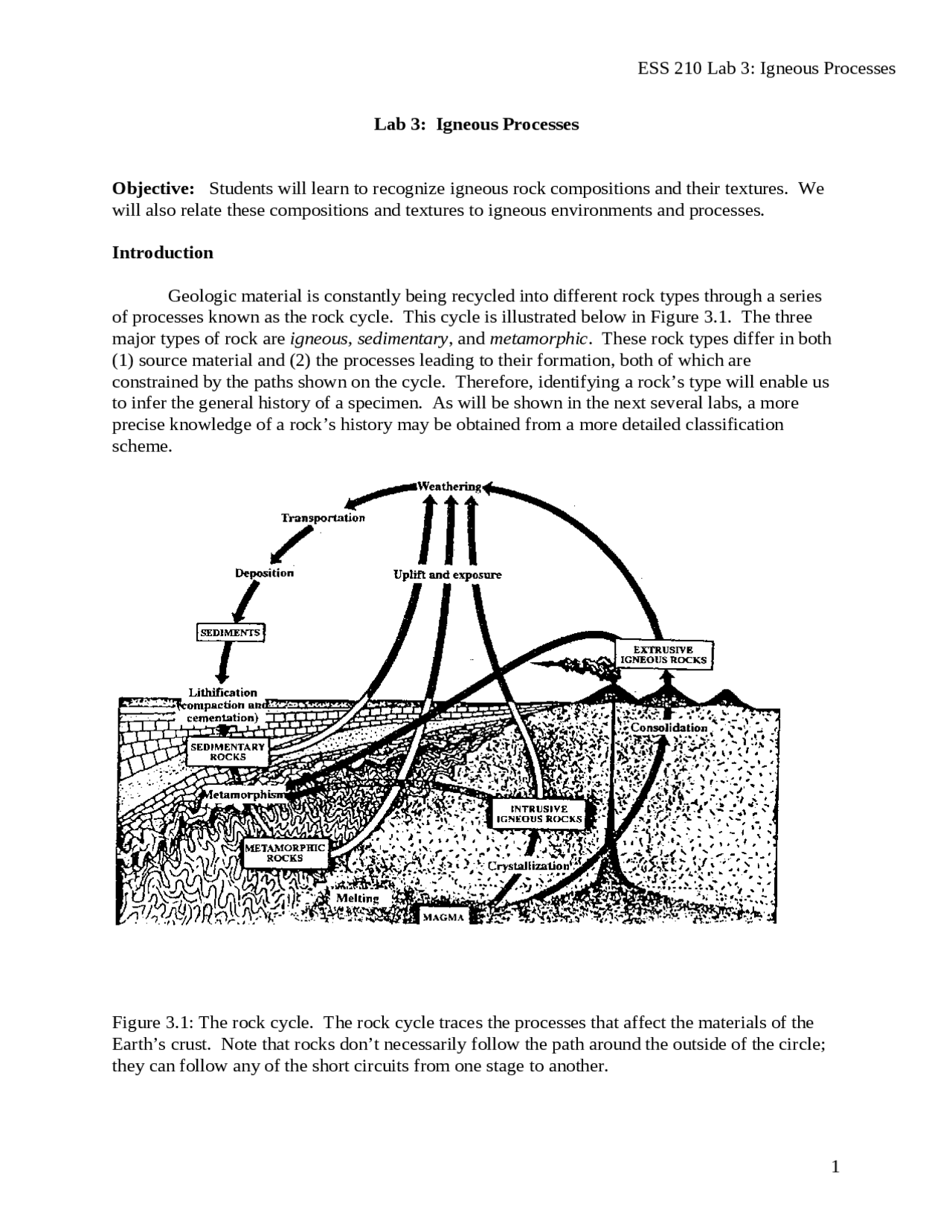Lab 3 - Igneous Processes - Physical Geology | ESS 210 - Docsity
