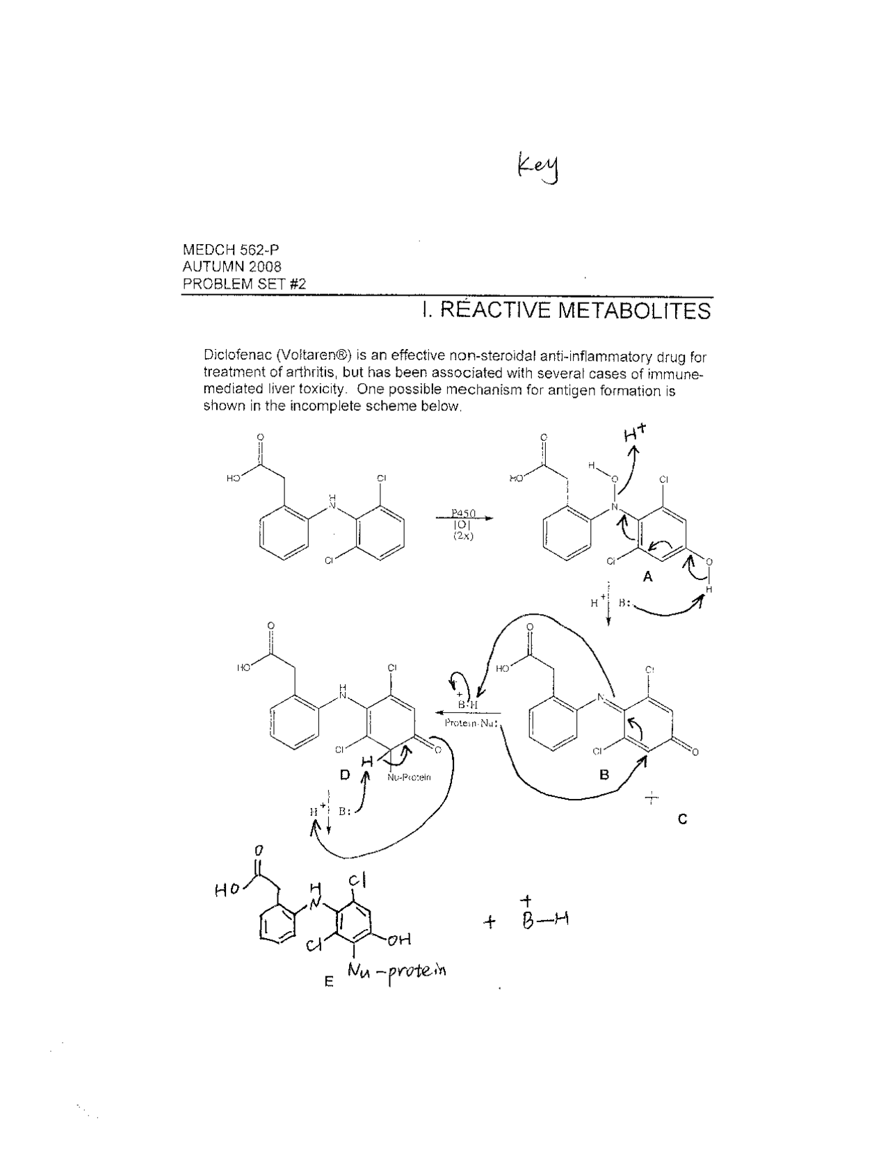 Problem Set 2 With Answer Key Medicinal Chemistry Medch 562 Docsity