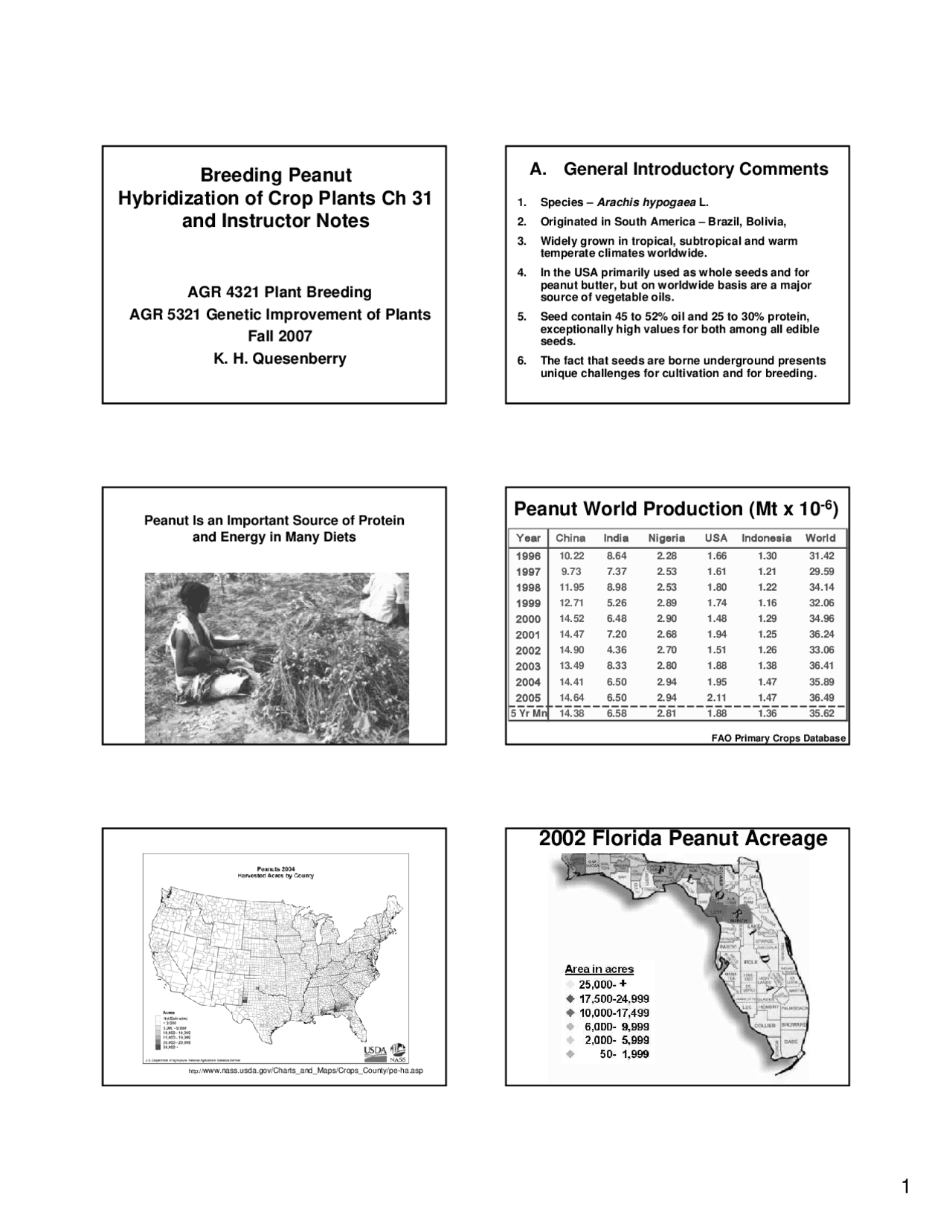 Peanut Breeding: Hybridization, Floral Characteristics, and Production ...