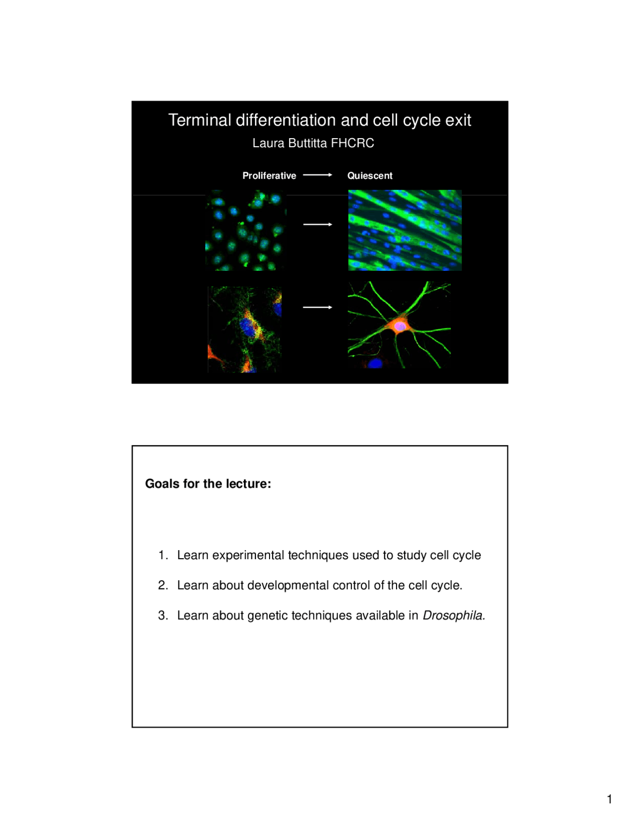 Terminal Differentiation and Cell Cycle Exit - Slide Notes | BIOL 401 ...