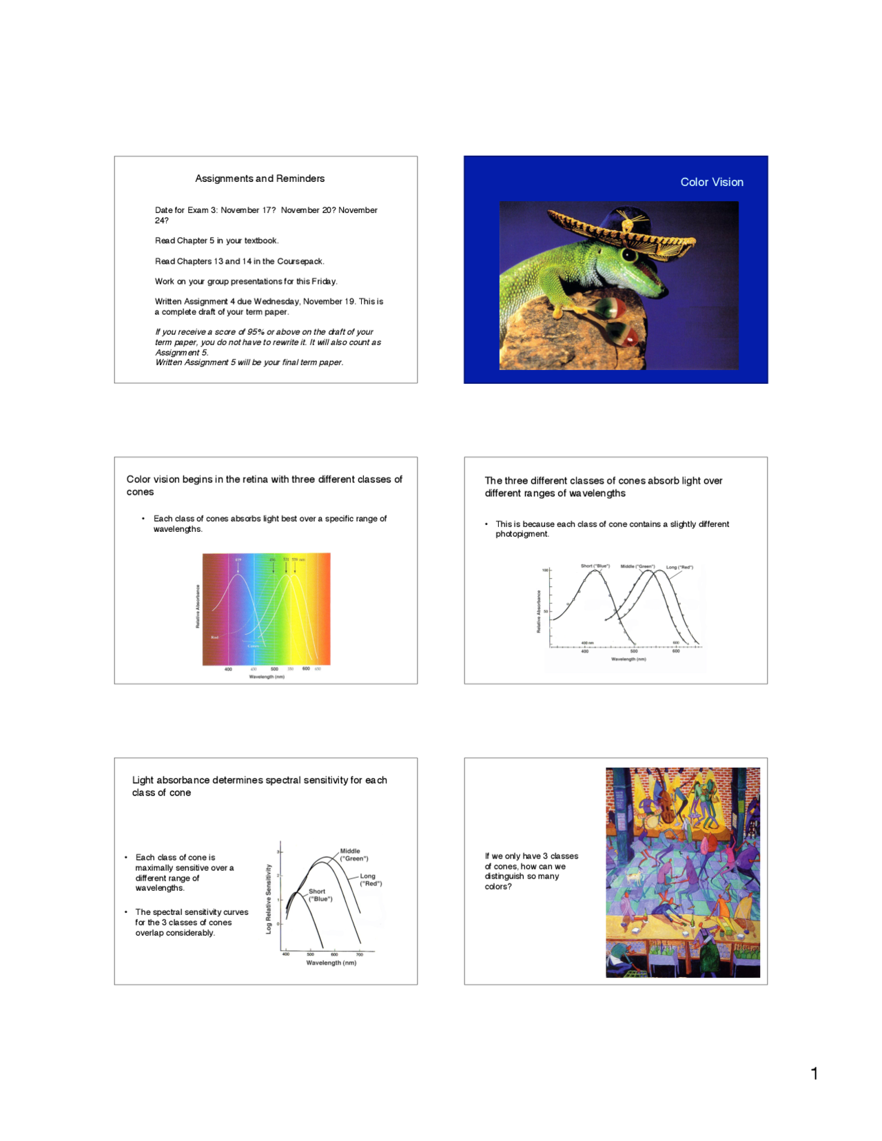 Lecture Slides on The Trichromatic Theory of Color Vision | PSYCH 333 ...