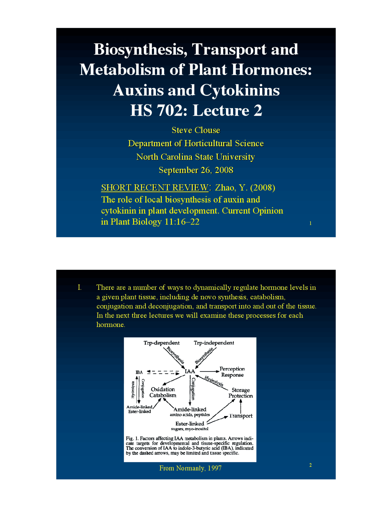 Biosynthesis, Transport Metabolism Plant Hormones: Auxin/Cytokines | HS ...