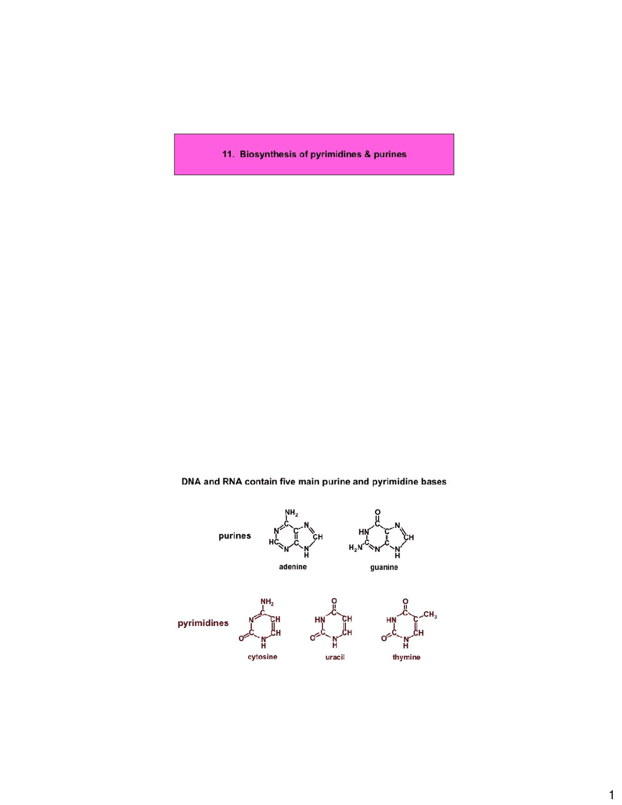 Biosynthesis of Pyrimidines and Purines - Biochemistry | BIOC 441 - Docsity