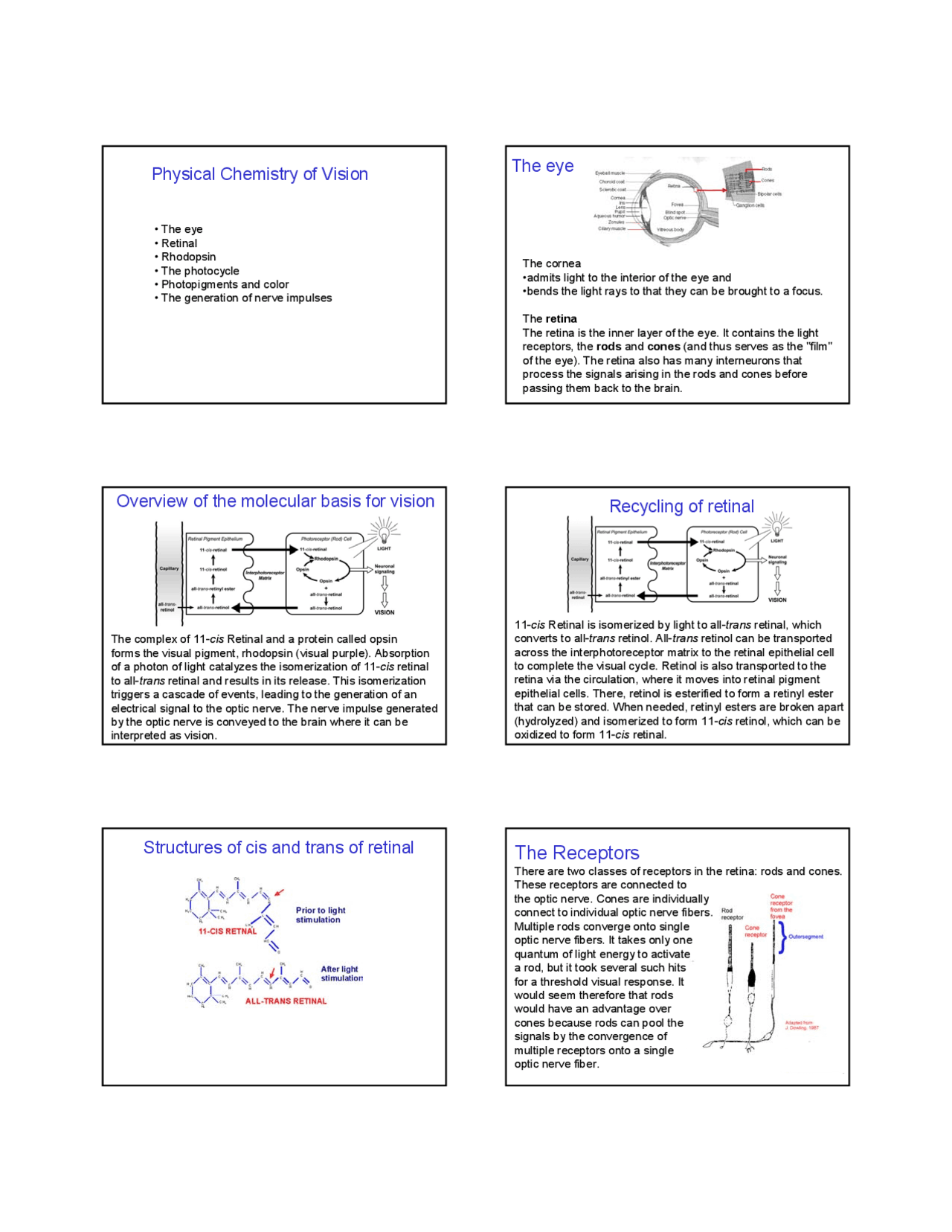 Physical Chemistry of Vision - Lecture Slides | CH 331 - Docsity