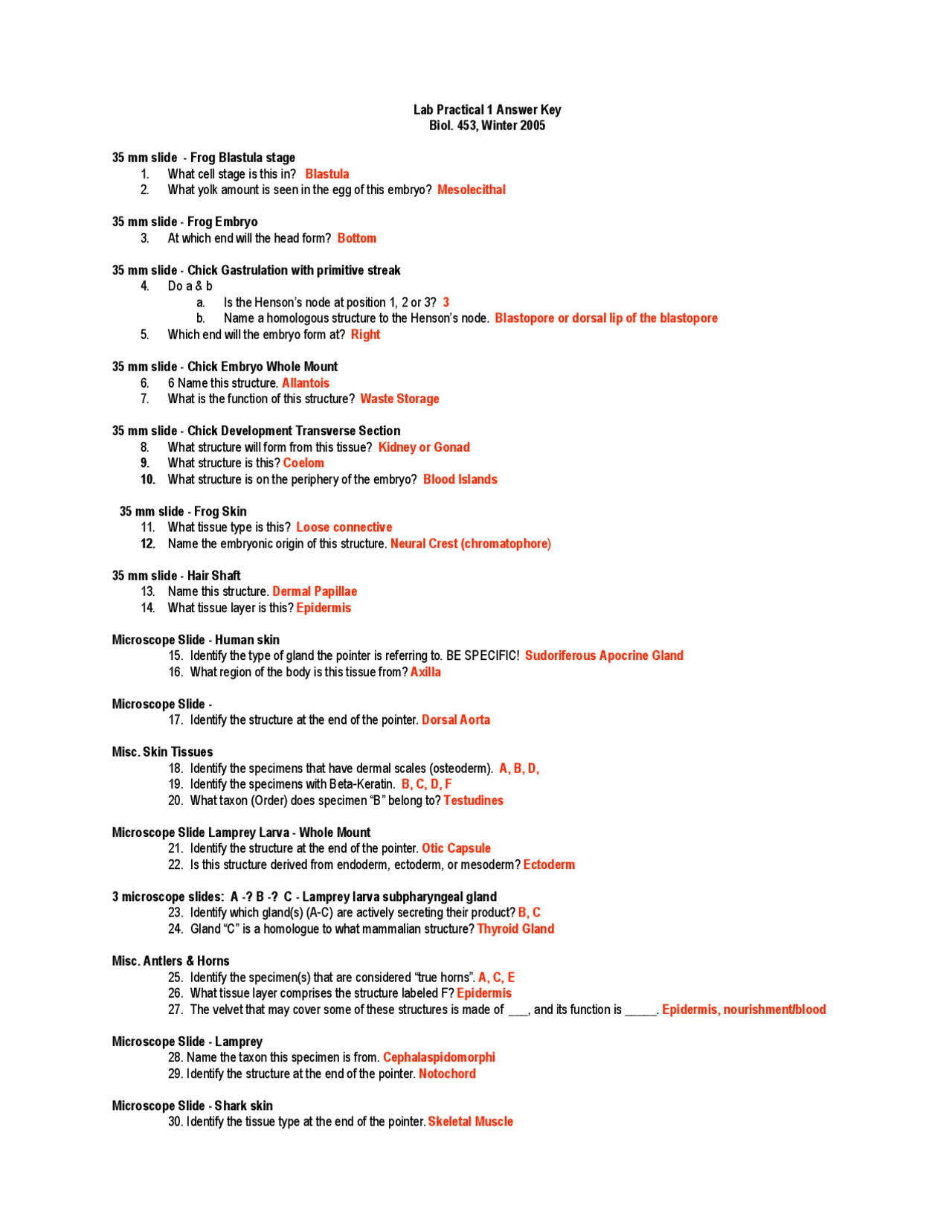Lab Practical 1 With Answer Key Comparative Anatomy Of Vertebrates