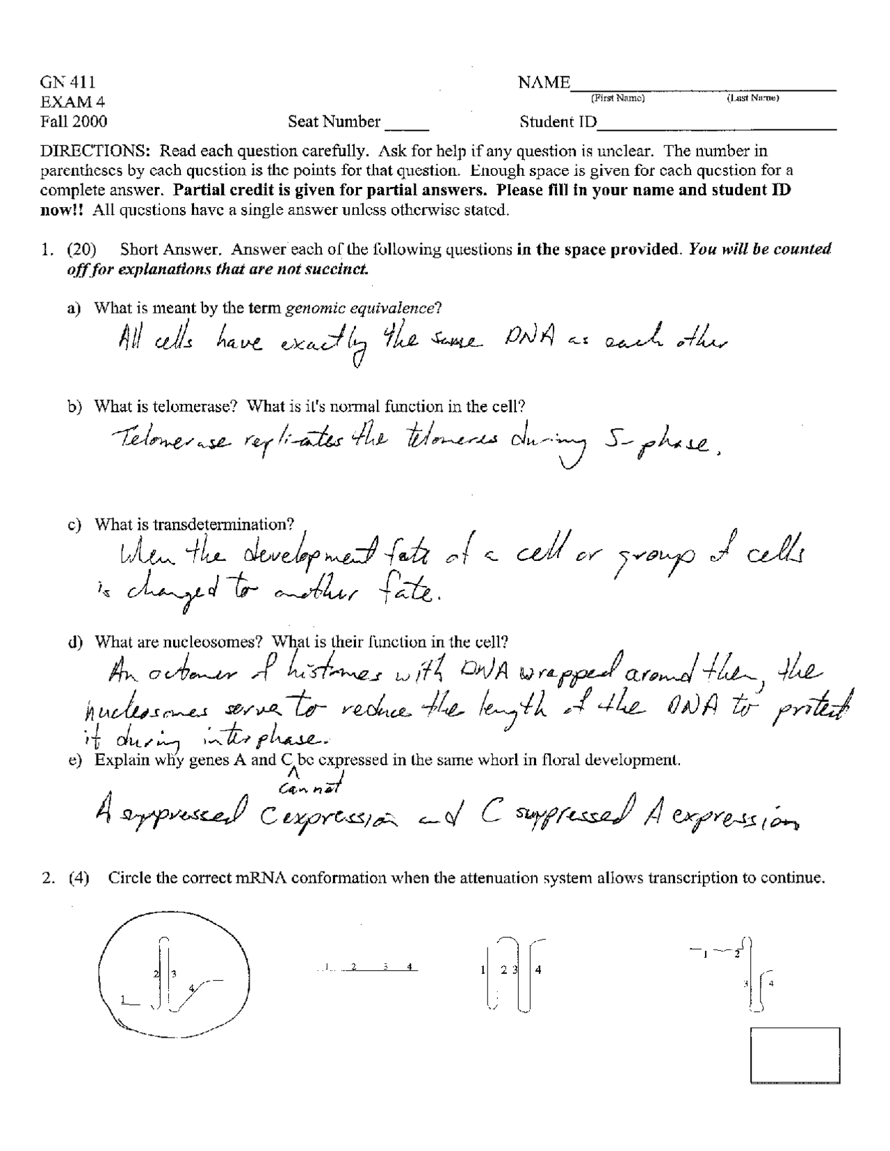 Exam 4 Questions With Solutions Principles Of Genetics Gn 411 Docsity