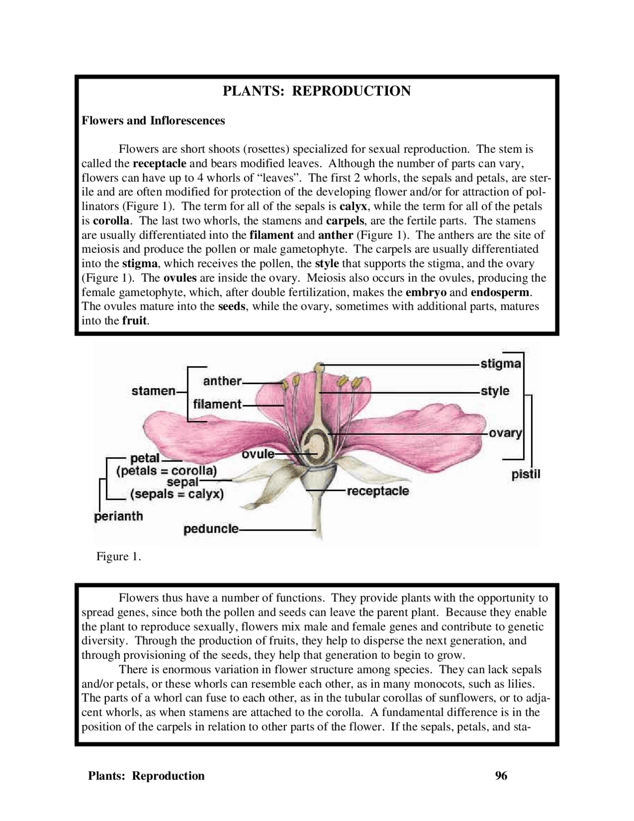 Plants: Reproduction - Understanding Flower Structure, Pollination, and ...