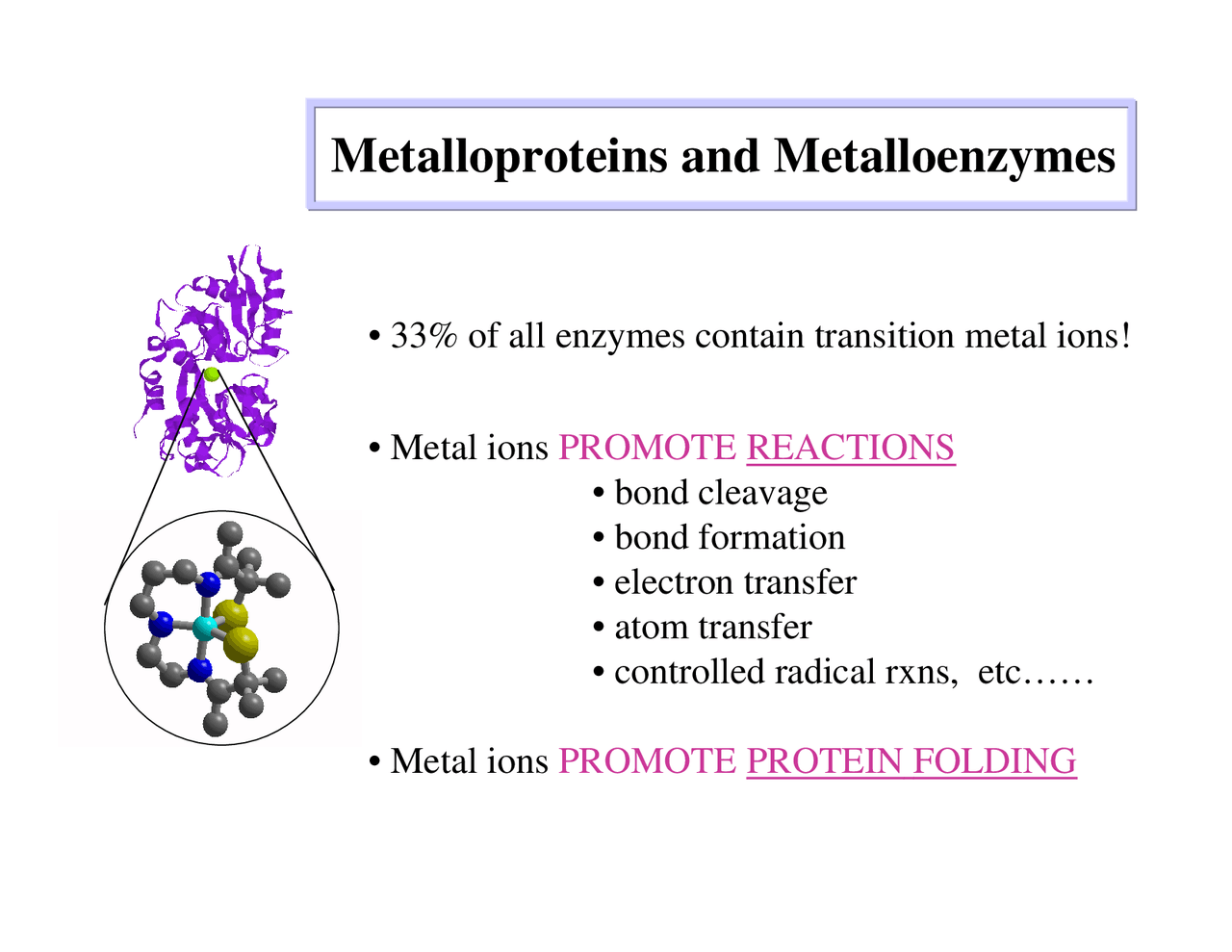 Metalloproteins and Metalloenzymes - Slides | CHEM 162 - Docsity
