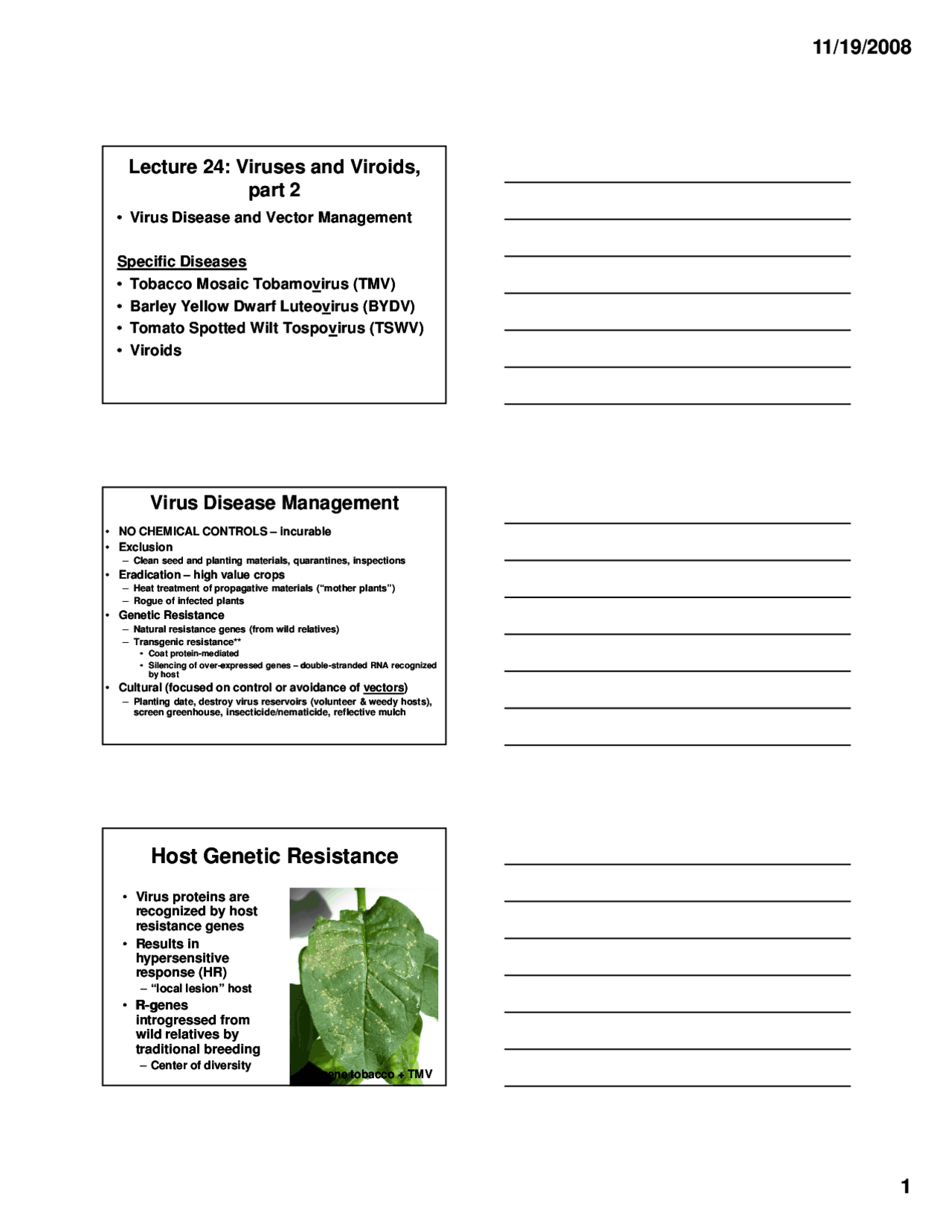 Virus Disease And Vector Management Lecture Slides Plp 3343 Docsity