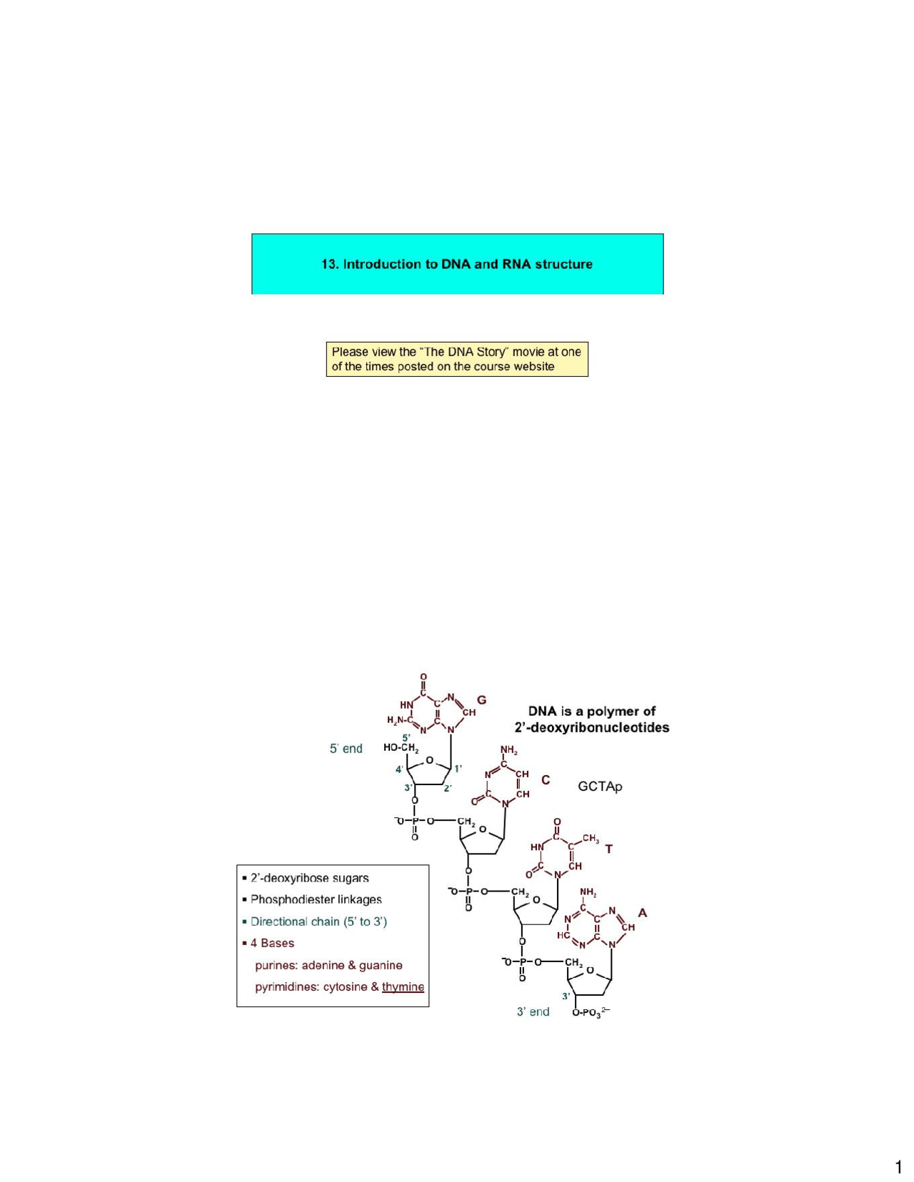 Introduction To Dna And Rna Structure Biochemistry Bioc 441 Docsity