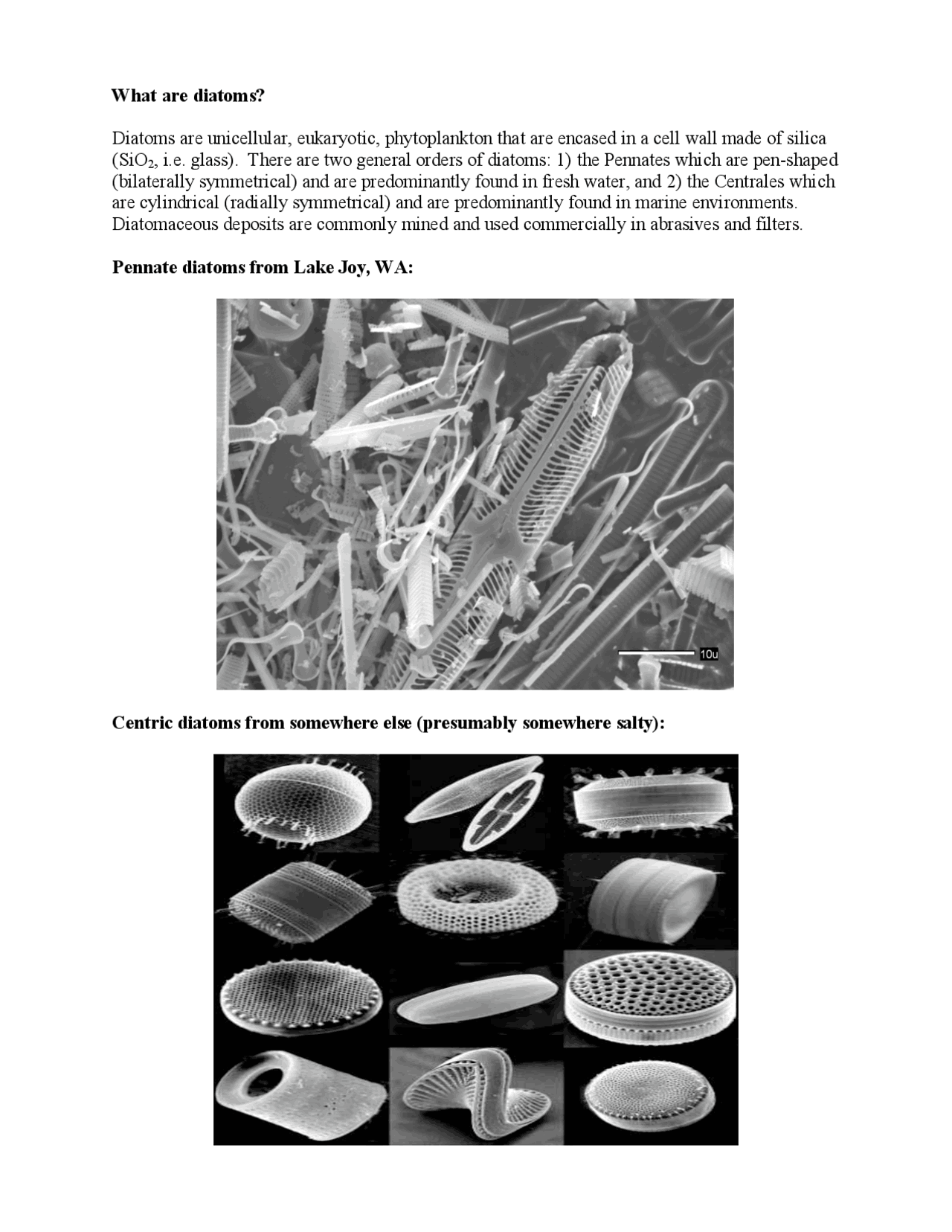 What are Diatoms - Soils and Land Use - Notes | ESRM 311 - Docsity