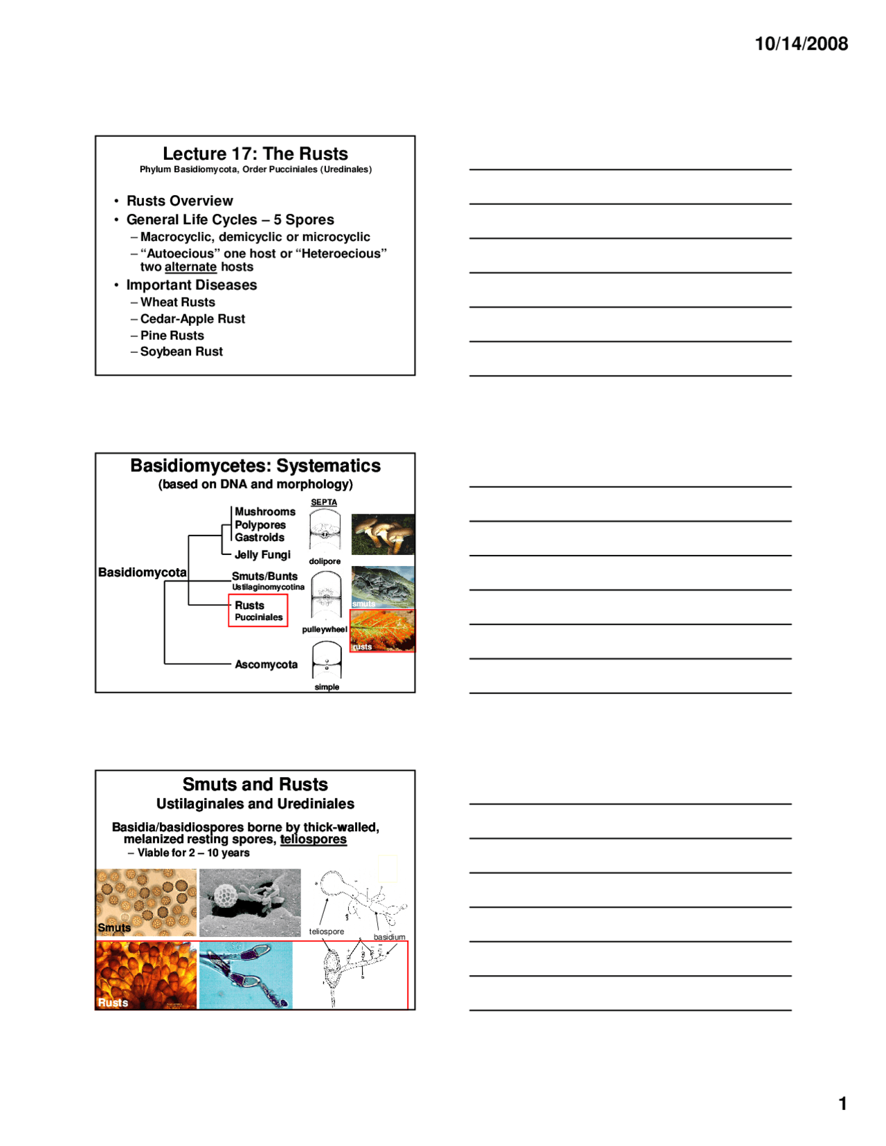 The Rusts Lecture Slides Principles Of Plant Pathology Plp 3343