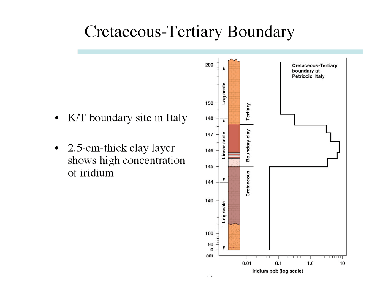 Cretaceous Tertiary Boundary Evolution Biol 115 Docsity