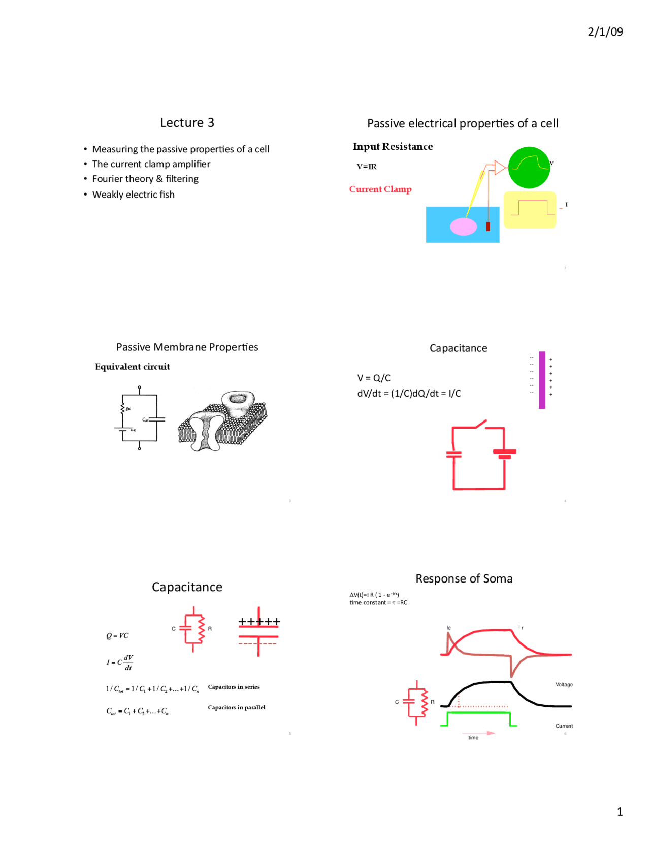 Passive Membrane Properties Lecture Slides 002 186 Docsity