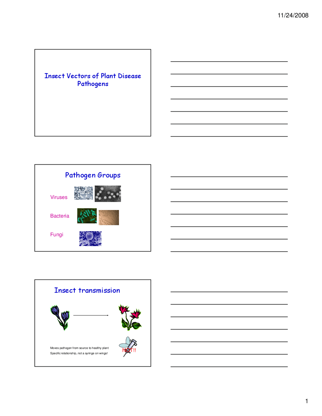 Lecture Slides on Insect Vectors of Plant Disease Pathogens | PLP 3343 ...