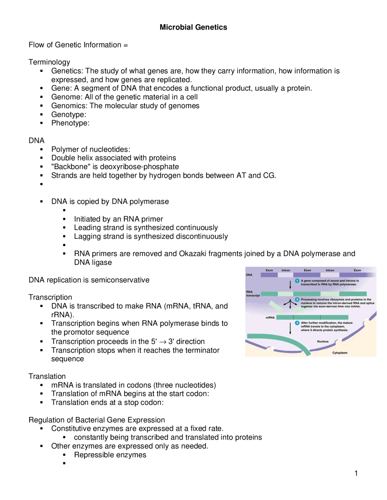 Microbial Genetics - Lecture Notes | BI 203 | Study notes Microbiology ...
