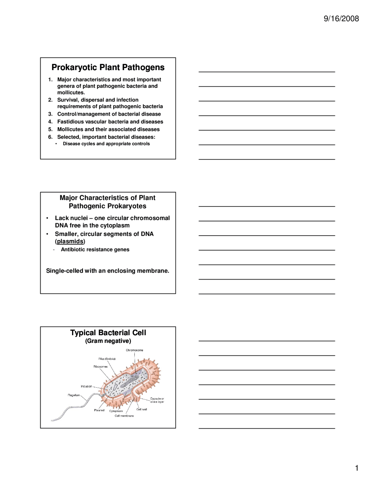 Prokaryotic Plant Pathogens Principles Of Plant Pathology Slides
