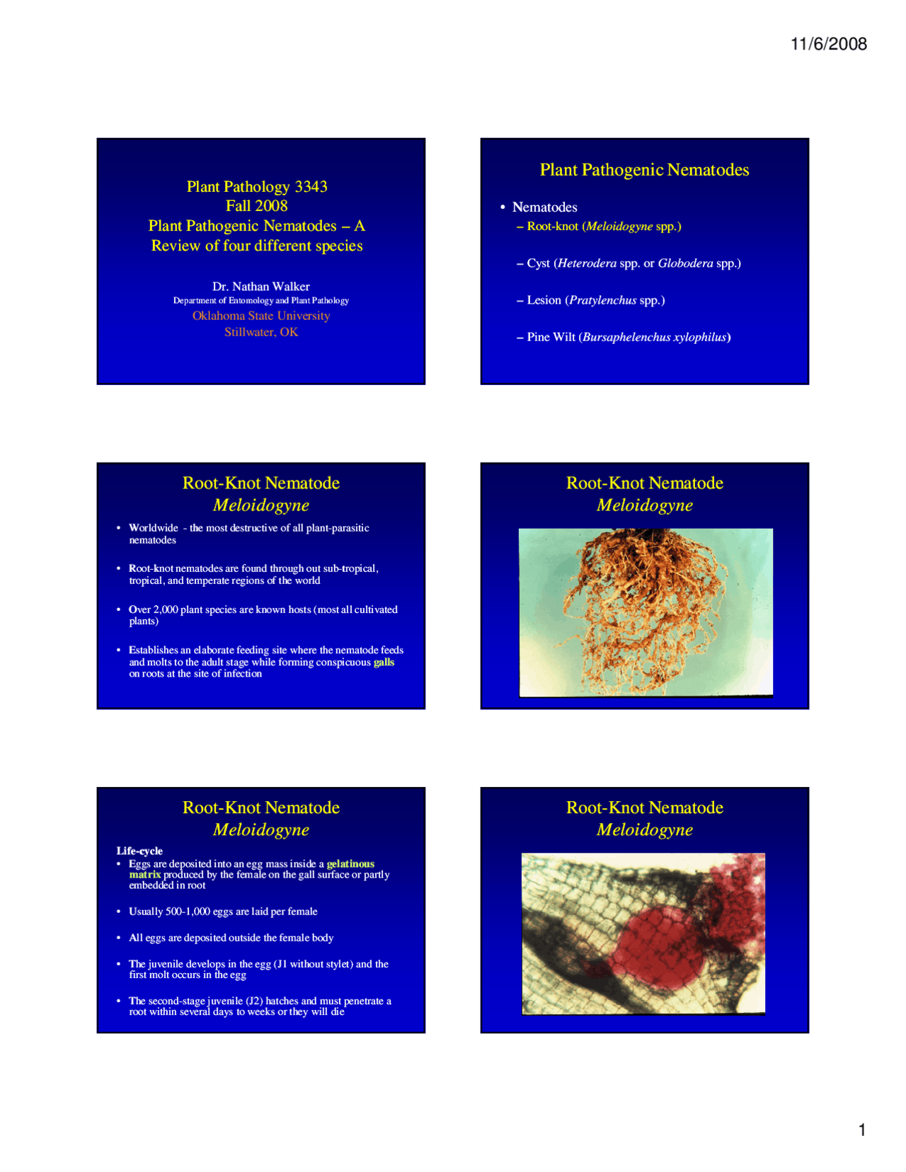 Plant Pathology Nematodes Lecture Slides Plp 3343 Docsity