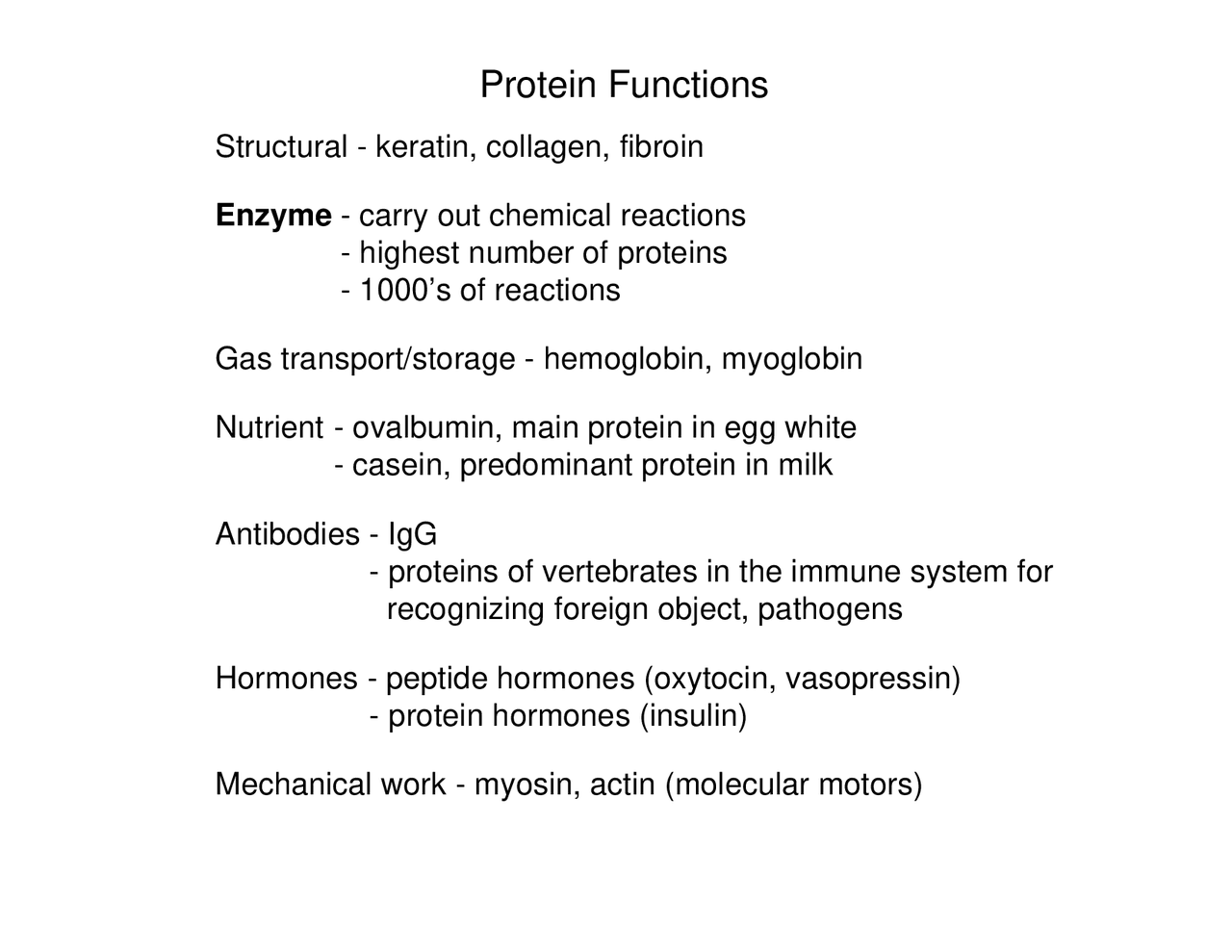 Protein Functions Enzyme And Substrate Enzymes Lecture Slides Bich