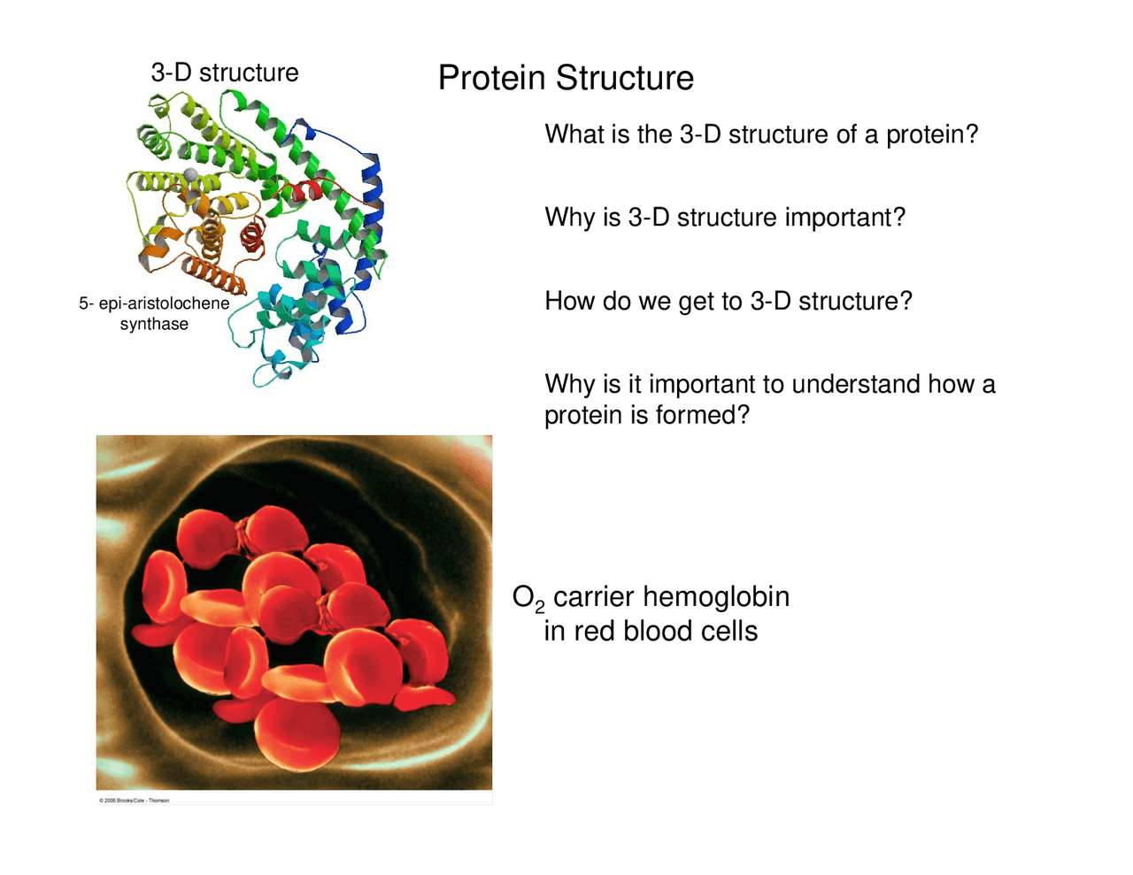 Lecture Slides On Protein Structure Bich 303 Docsity