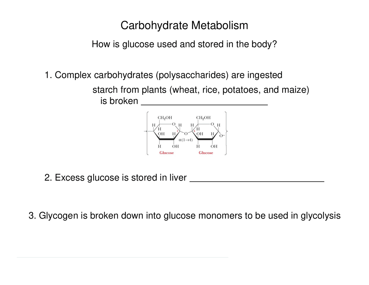 Notes On Carbohydrate Metabolism Bich 303 Docsity