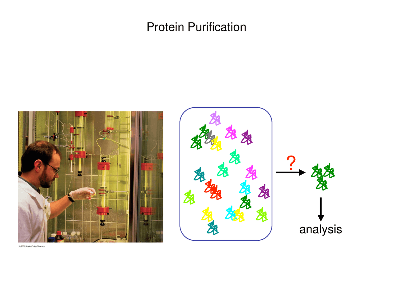 Notes on Protein Purification - Elements of Biological Chemistry | BICH ...