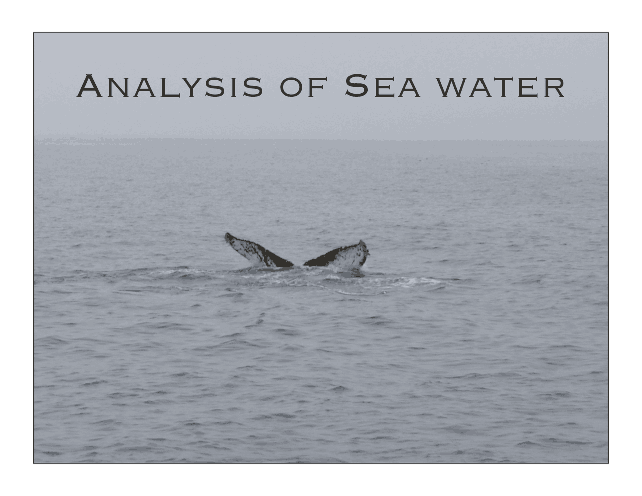 Analysis of Sea Water - Qualitative and Quantitative Composition | CH ...