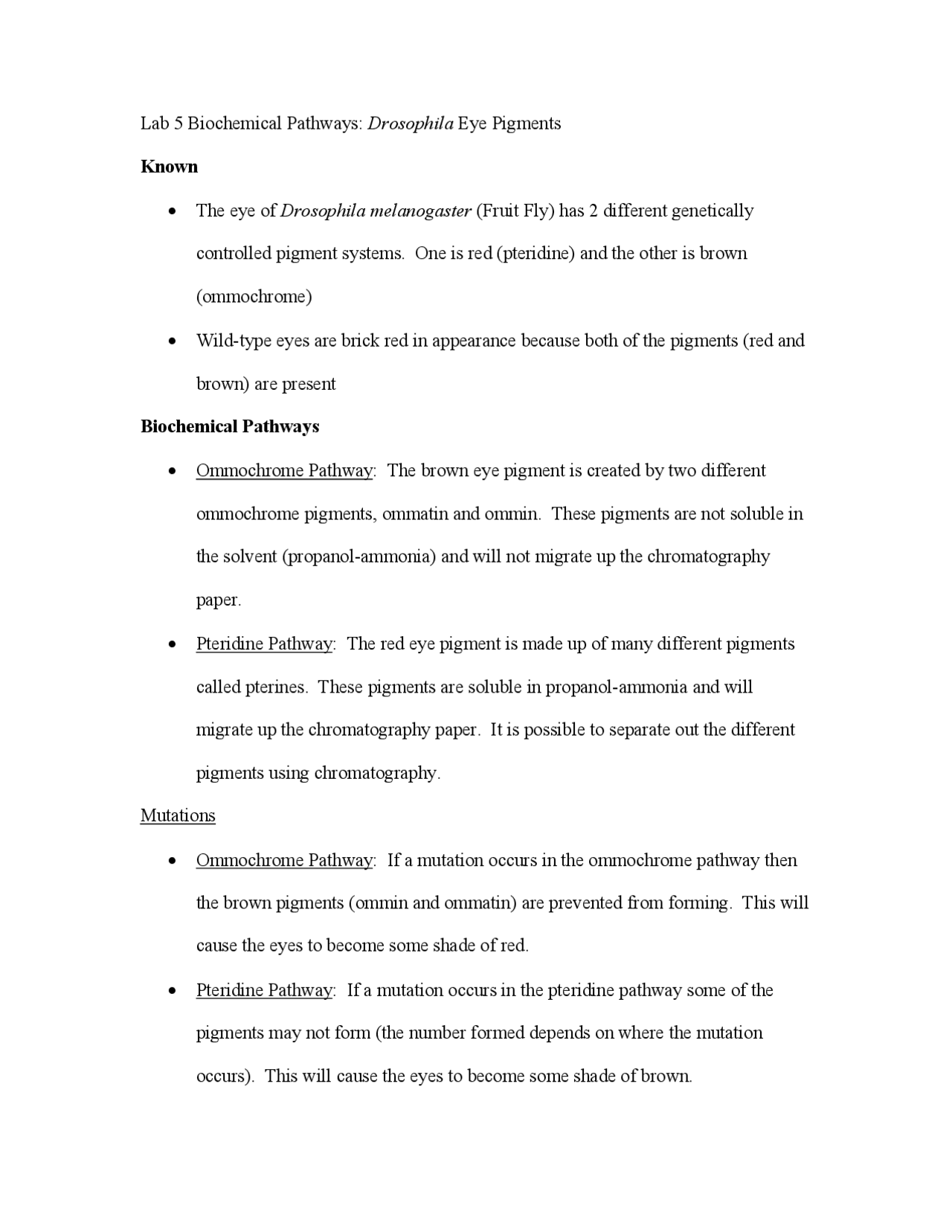 Biochemical Pathway: Drosophila Eye Pigment - Lab Report 5 | BS 111L ...