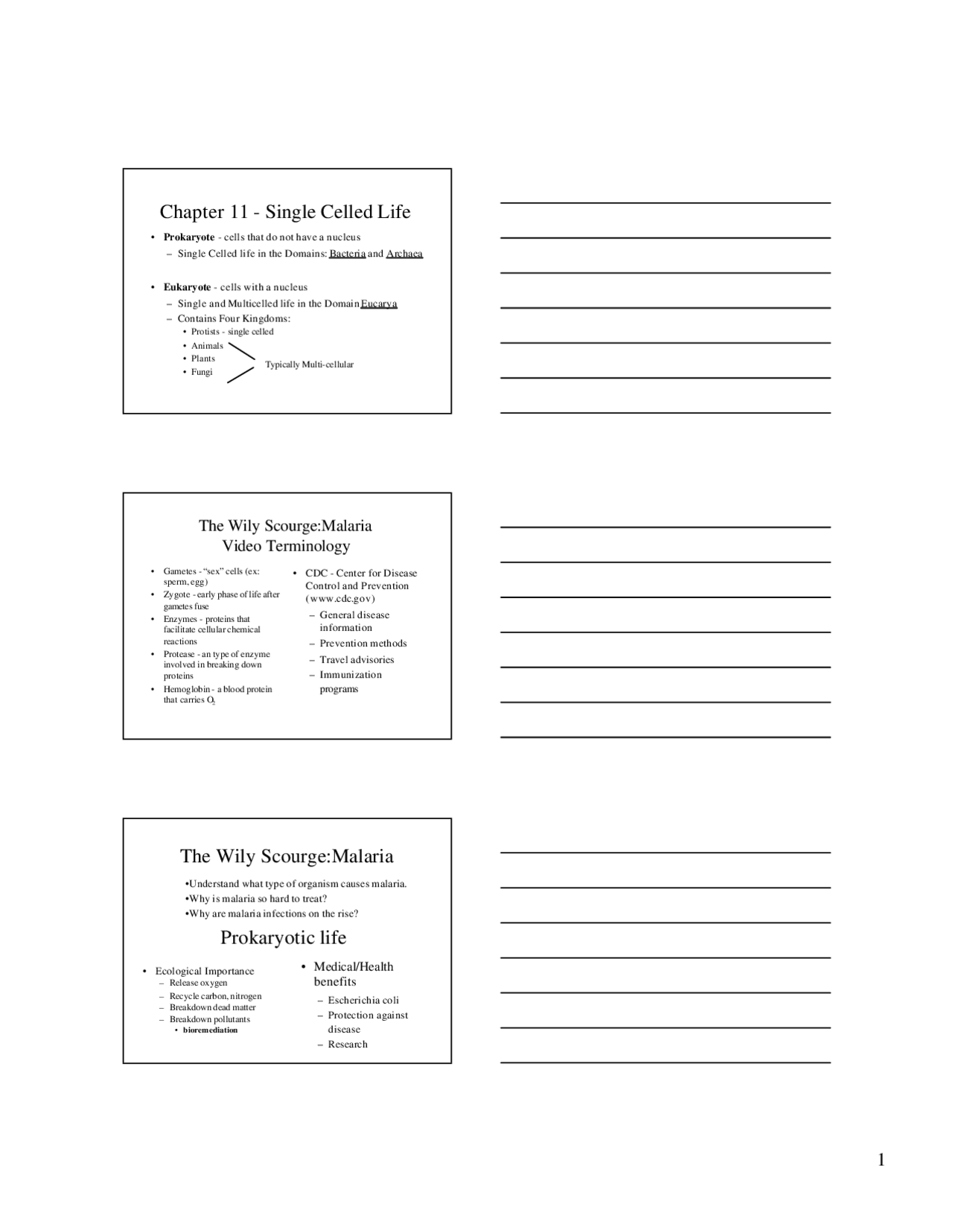 Single Celled Life Lecture Slides Biol 1010 Docsity