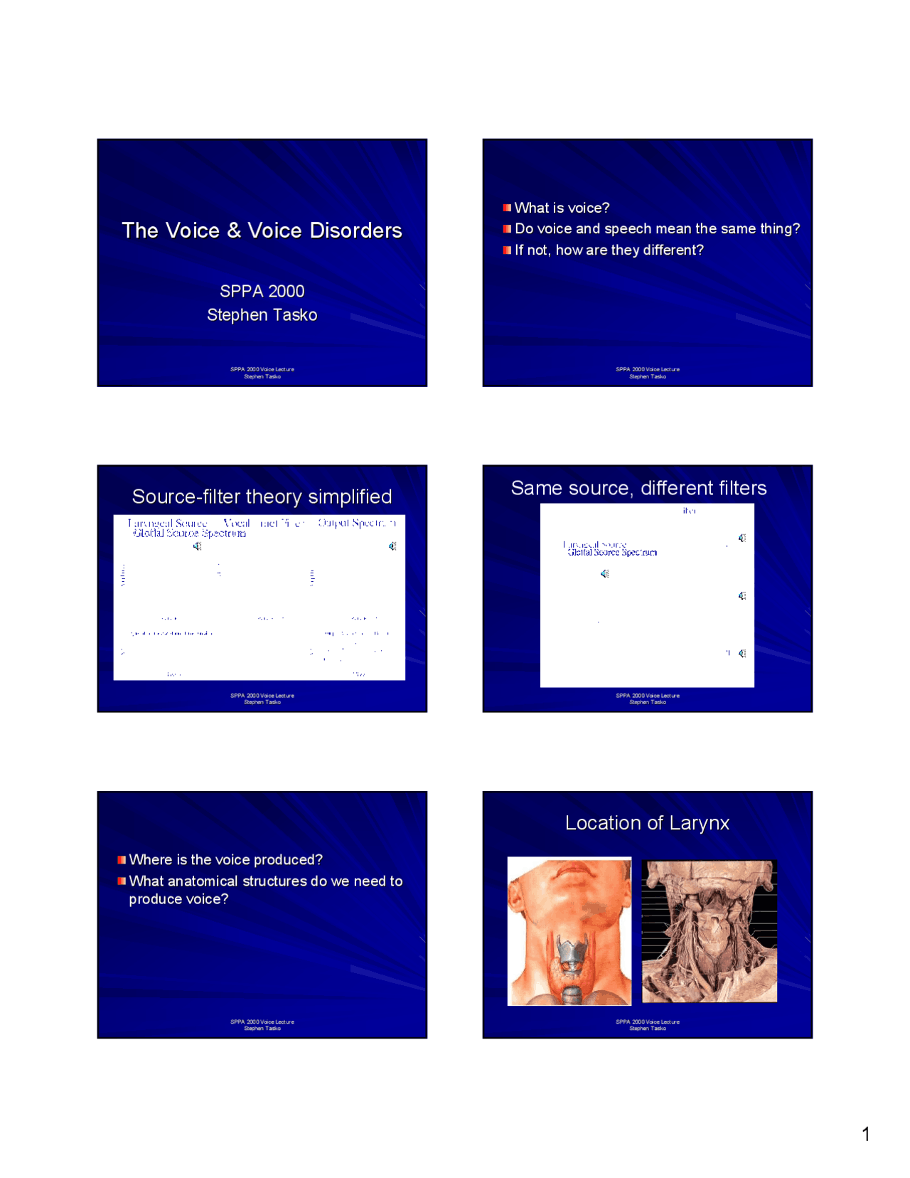 Voice And Voice Disorders Lecture Slides Sppa 2000 Docsity