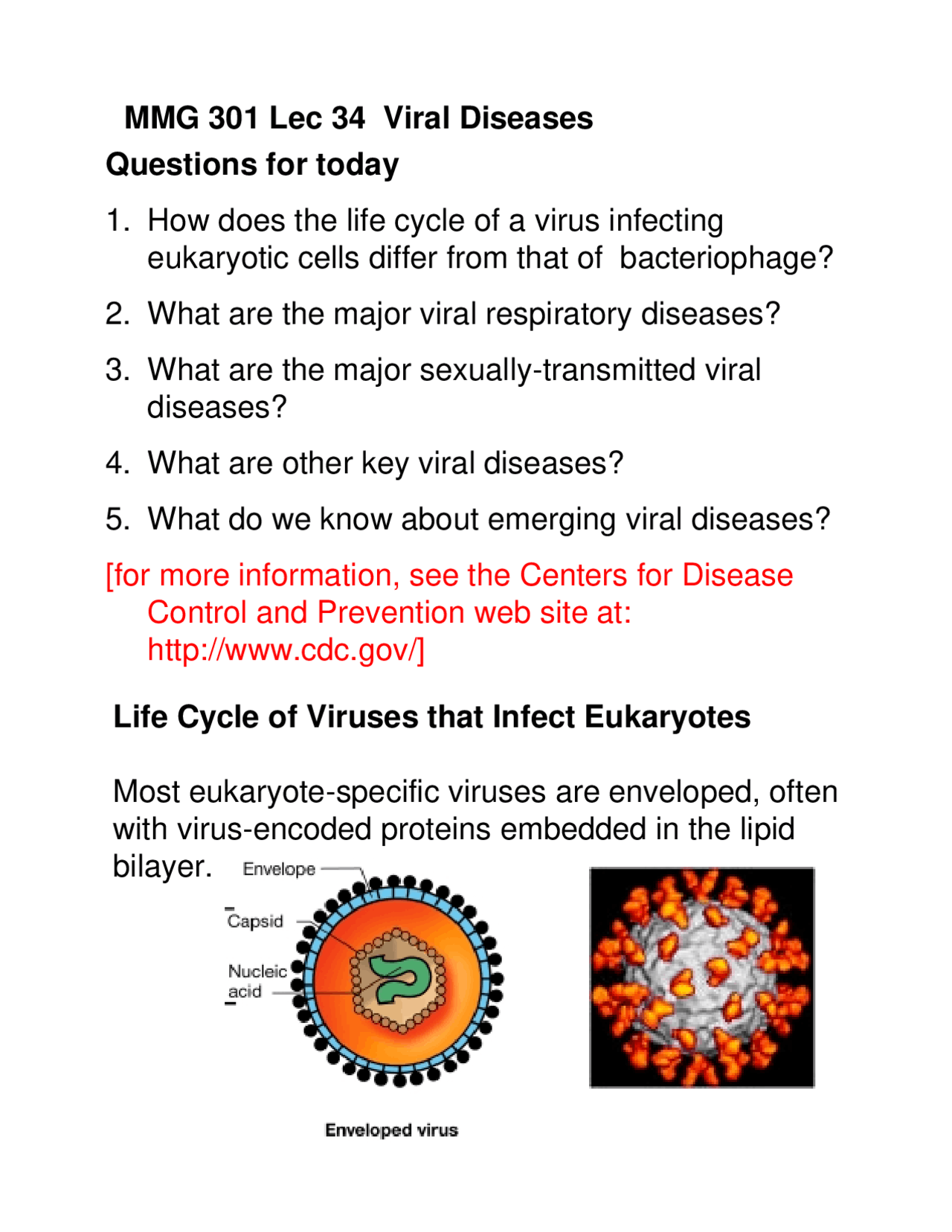 Viral Diseases Introductory Microbiology Mmg 301 Docsity