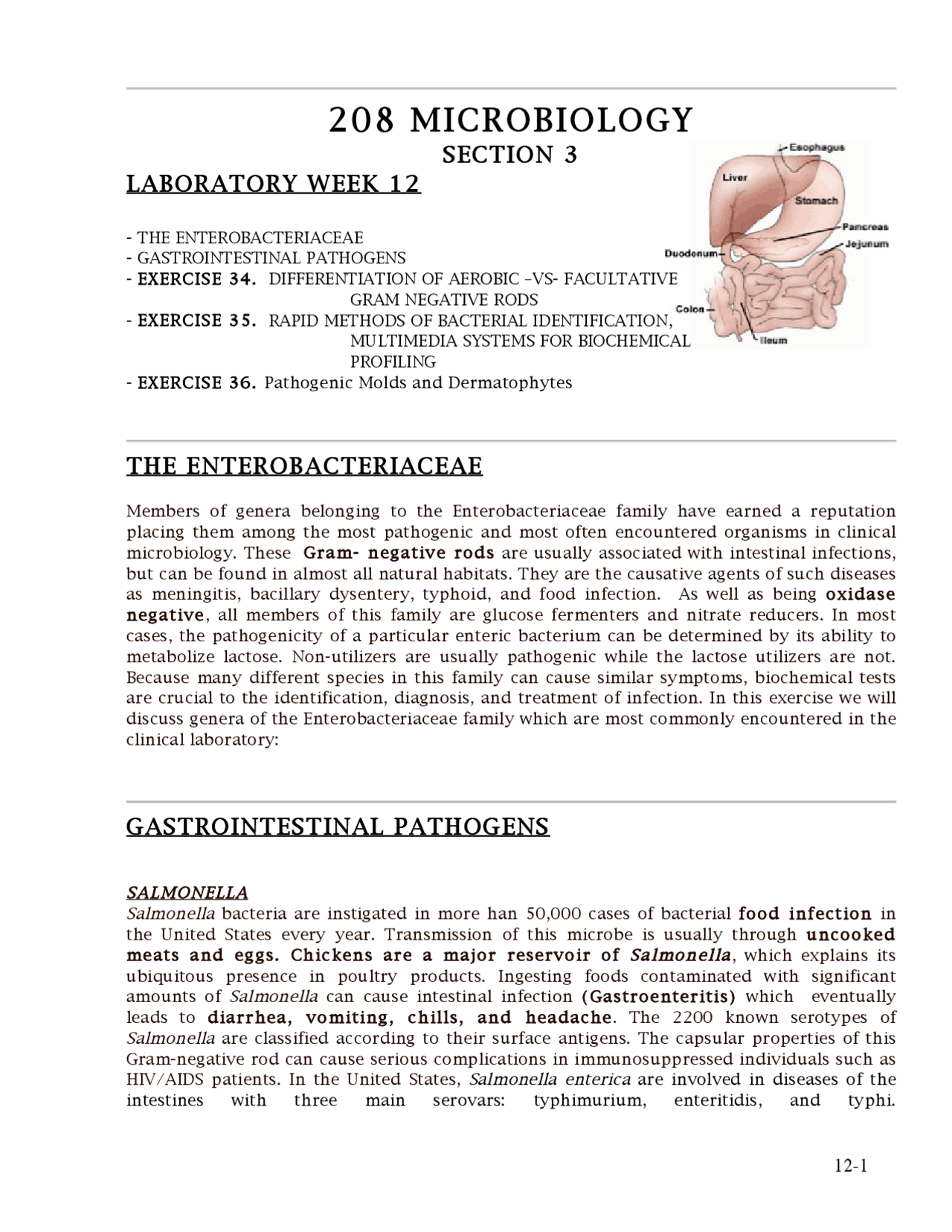 Microbiology Laboratory Exercises Manual Biol 208 Docsity