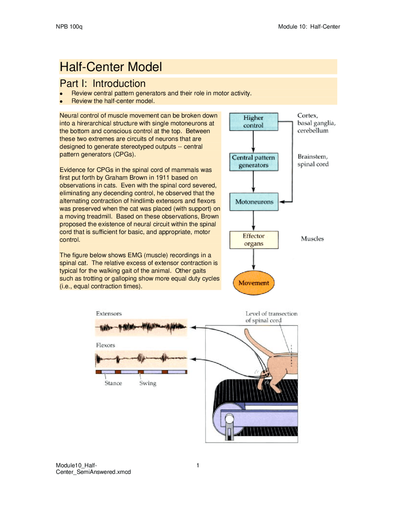 Half-Center Model - Neurobiology - Notes | NPB 100 - Docsity