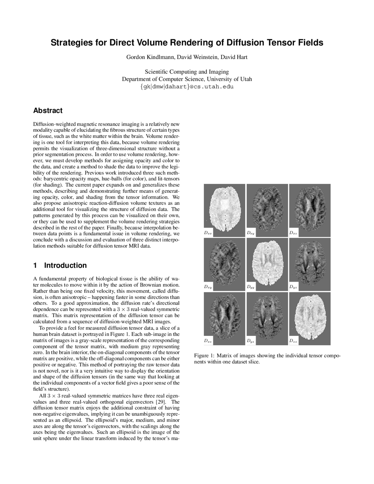 Strategies for Direct Volume Rendering of Diffusion Tensor Field | CS T101 - Docsity