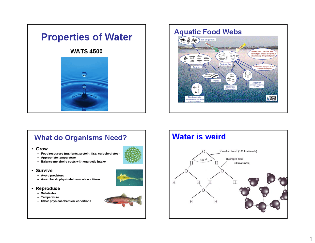 Lecture Slides On Properties Of Water Wats 4500 Docsity
