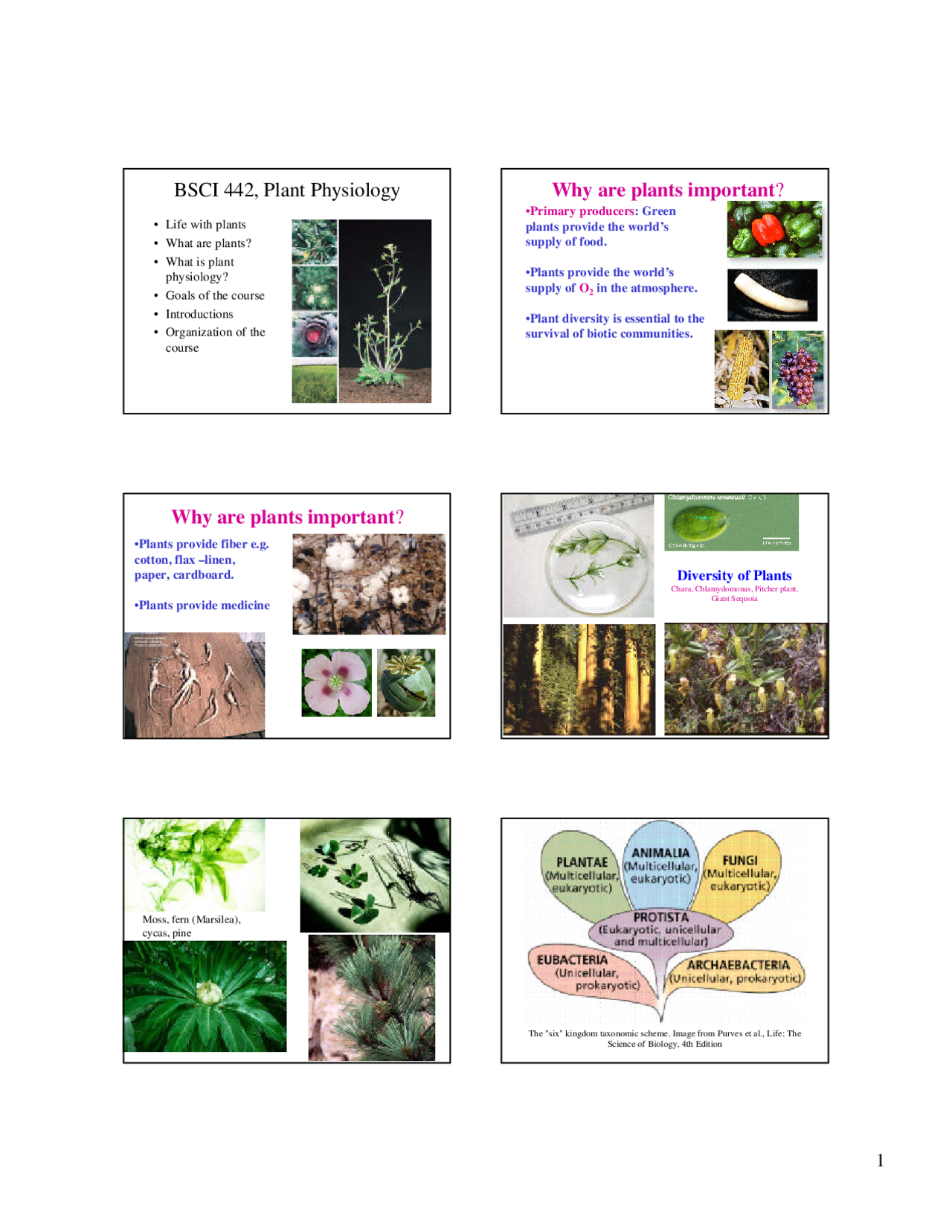 Why Are Plants Important Lecture Slides Bsci 442 Docsity