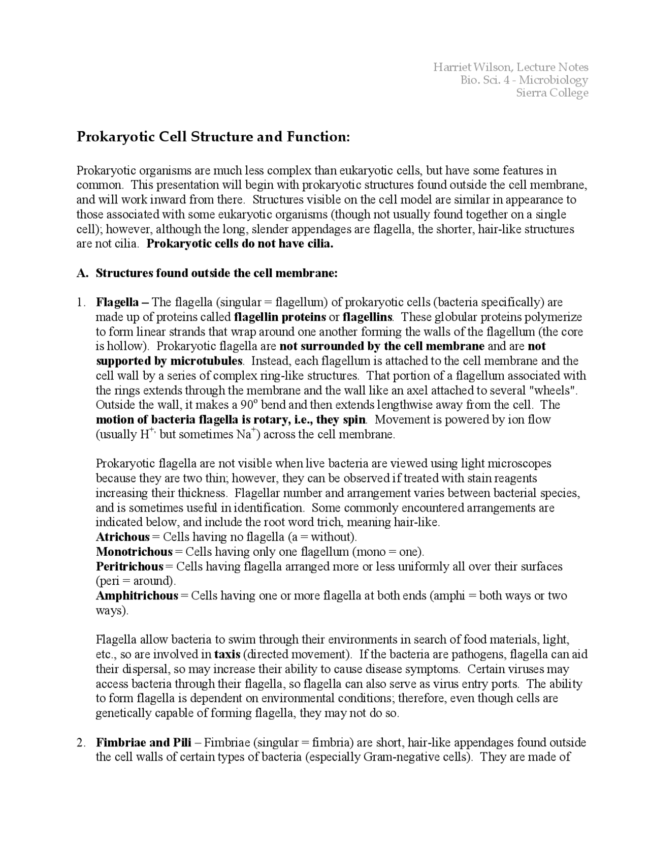 Prokaryotic Cell Structure And Function Lecture Notes Biol 0004 Docsity