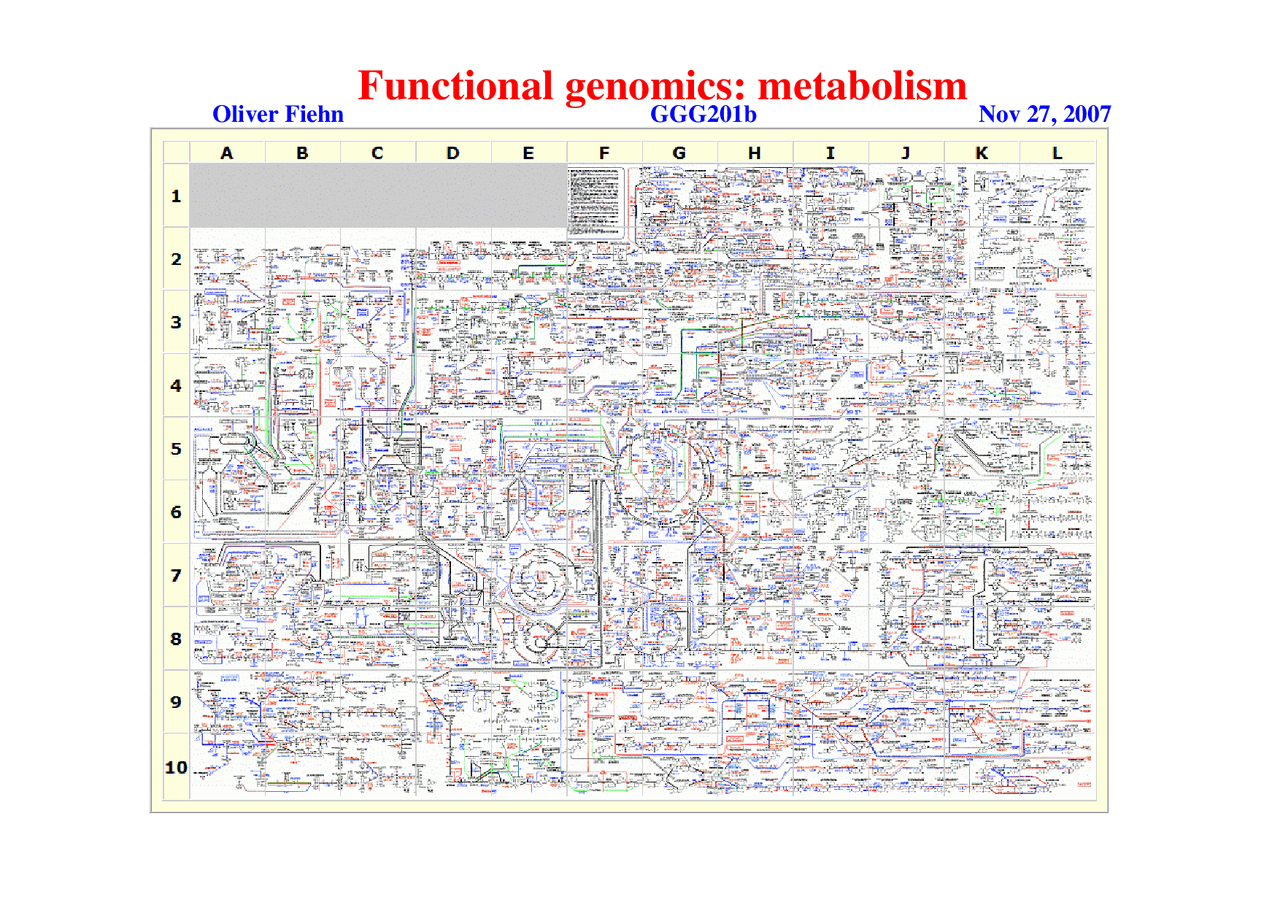 Metabolism Functional Genomics Lecture Slides Ggg 201b Docsity