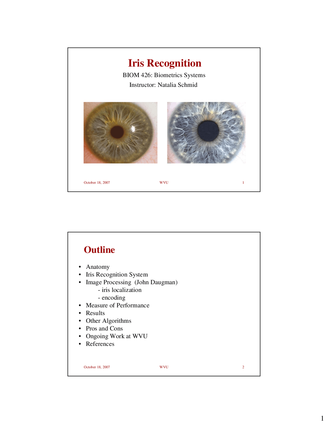 Iris Recognition Biometric Systems Biom 426 Docsity