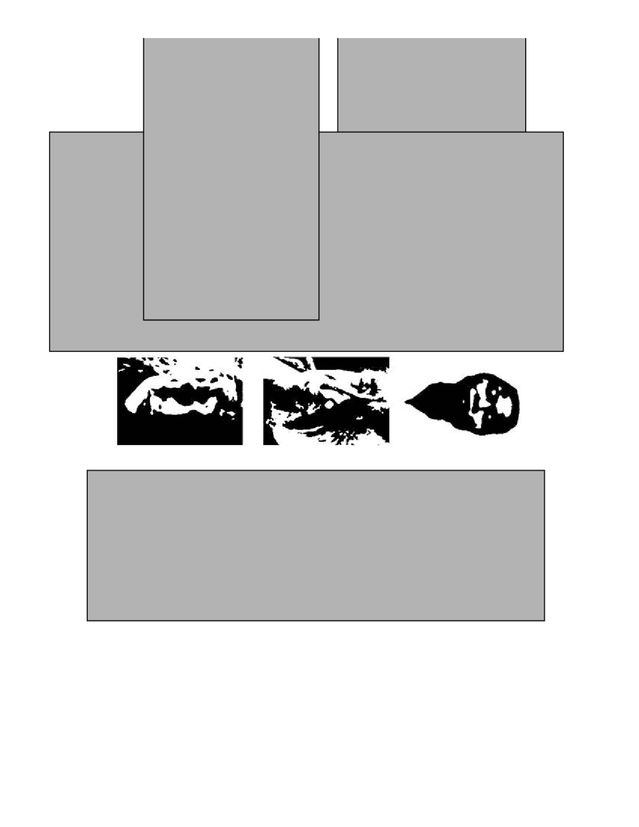 Template Matching Rigid Motion Cmsc 828 Docsity