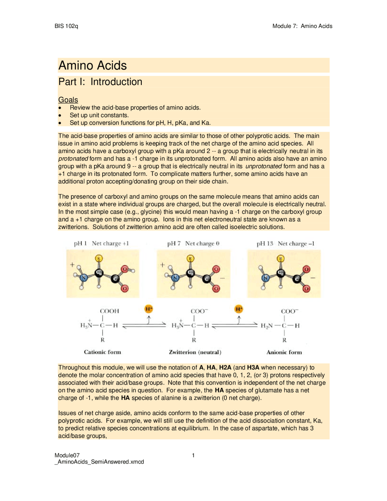 Amino Acids Module 7 Structure And Function Of Biomolecules Bis