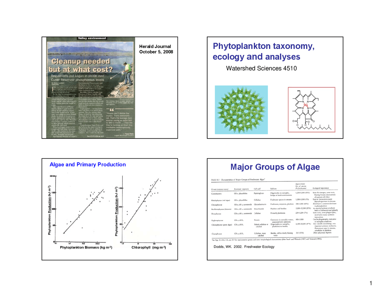 Phytoplankton Taxonomy Ecology And Analyses Lecture Slides Wats
