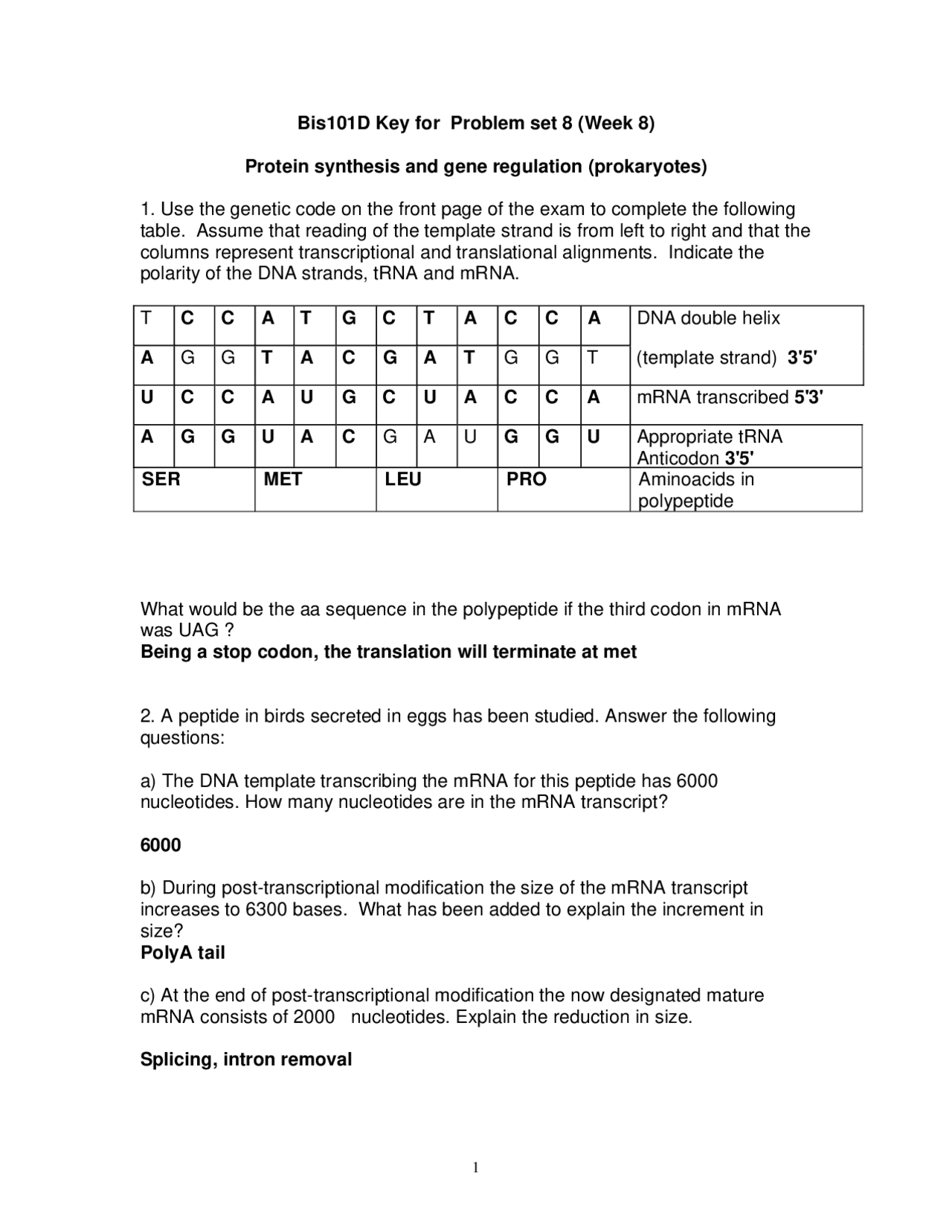 Protein Synthesis And Gene Regulation Lecture Notes Bis 101 Docsity