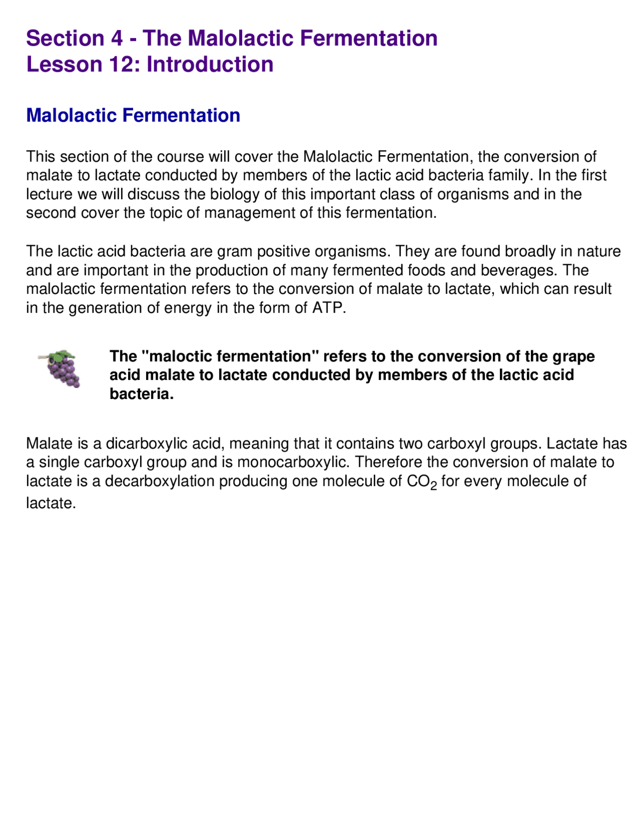The Malolactic Fermentation - Lecture Notes | VEN 124 - Docsity