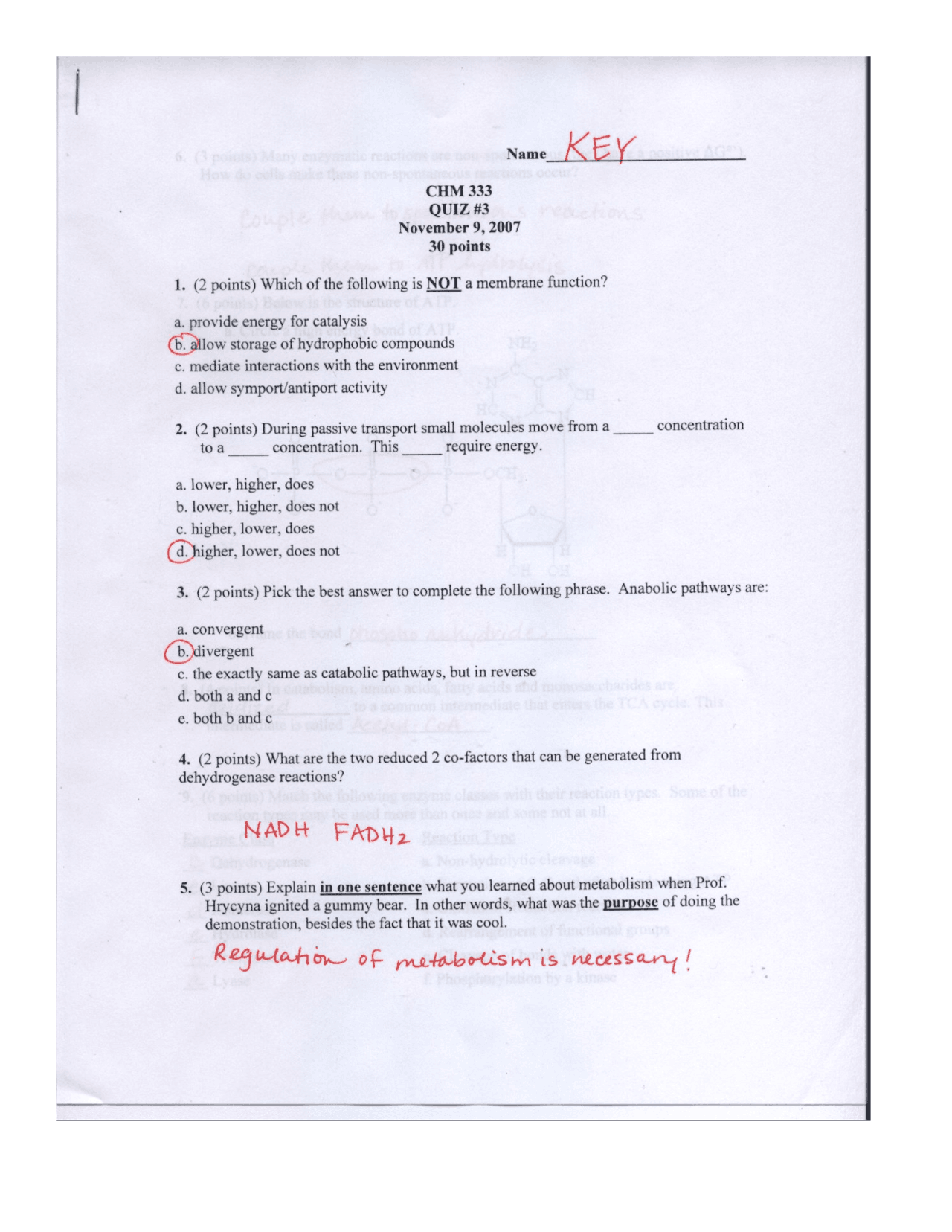 9 Questions With Key Of Principles Of Biochemistry Quiz 3 Chm 33300