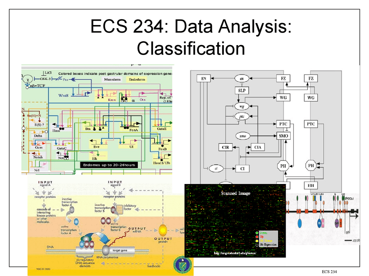 Data Analysis Classification Docsity